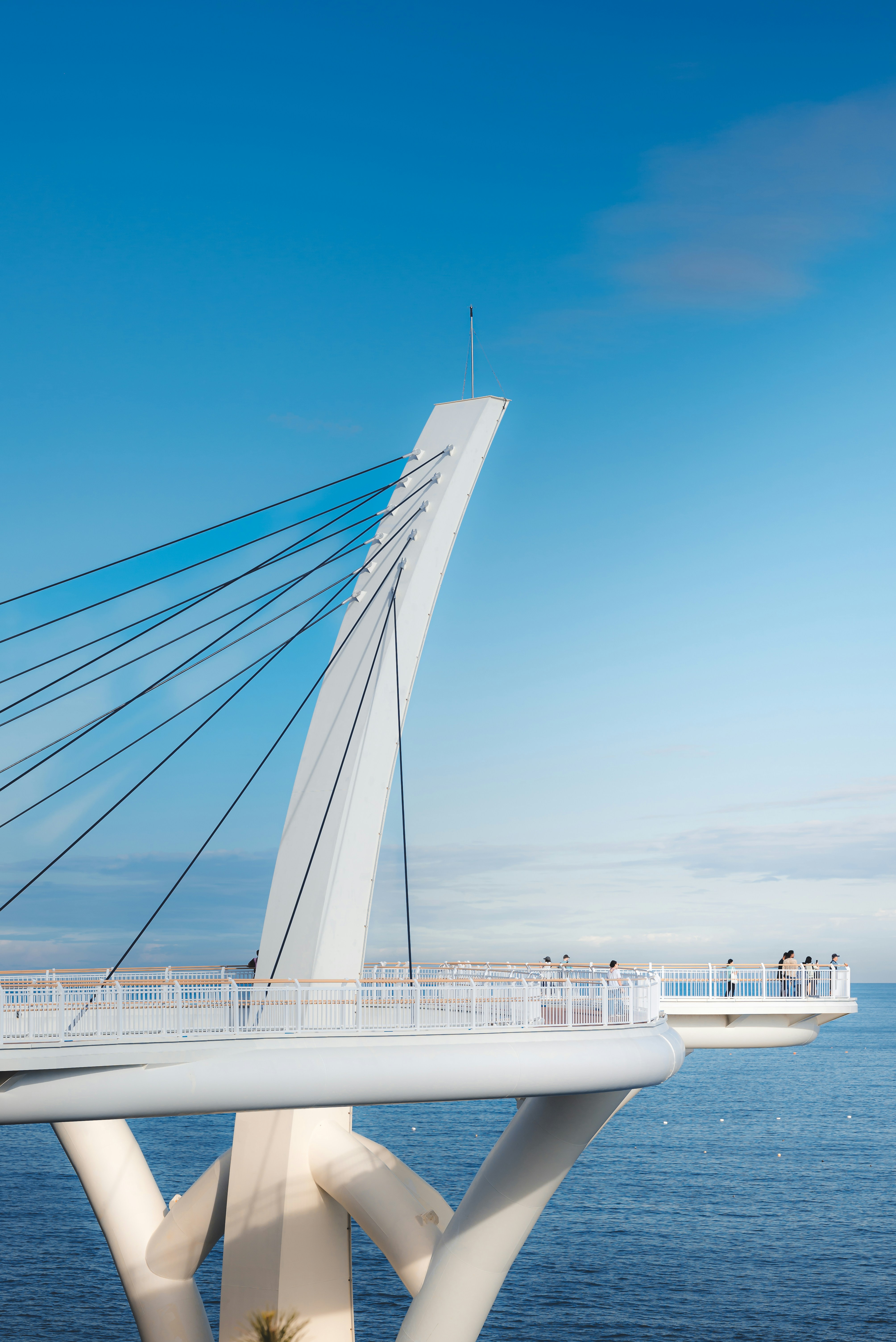The Elegant Arch: A Modern Marvel of Design