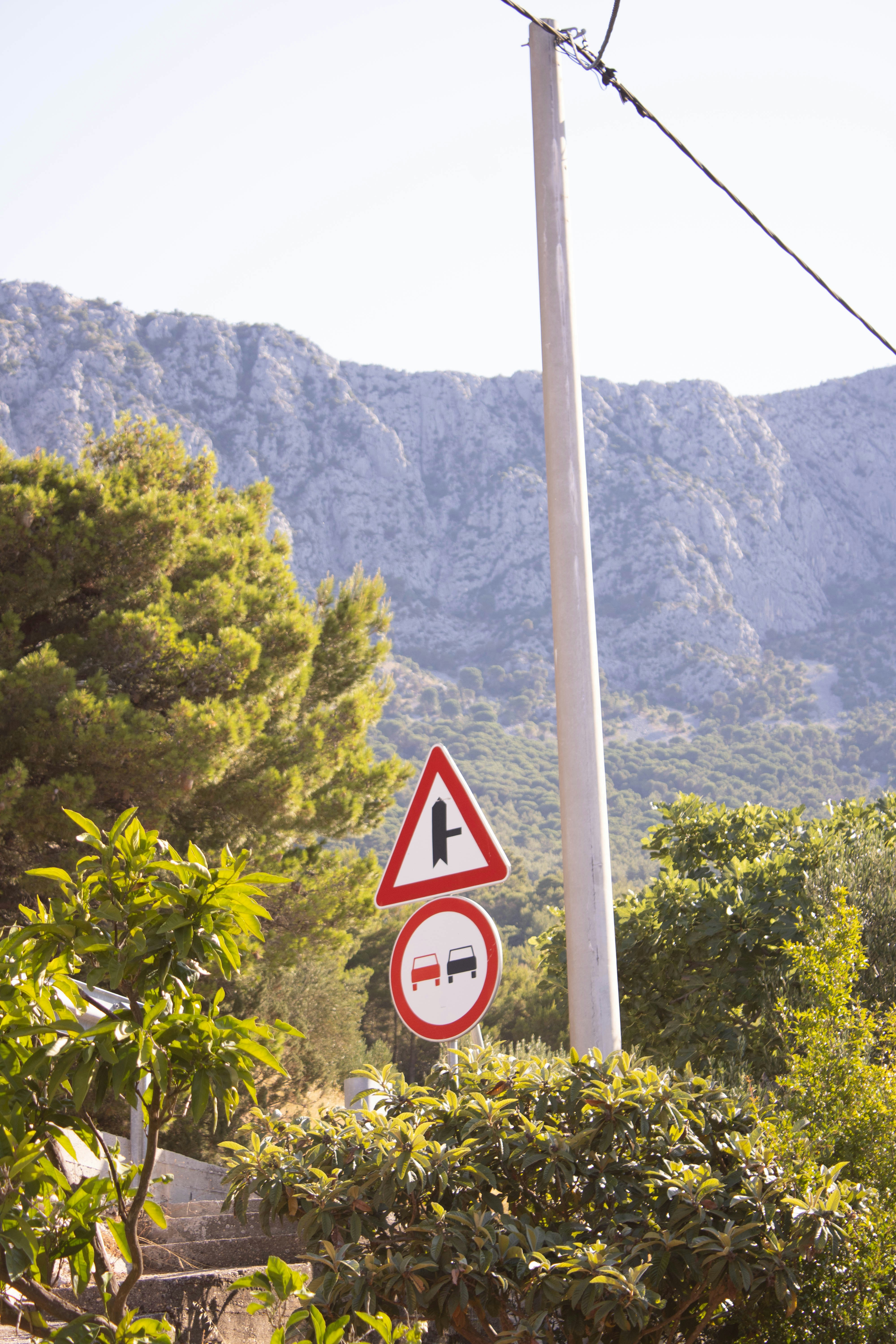 Navigating Nature's Crossroads