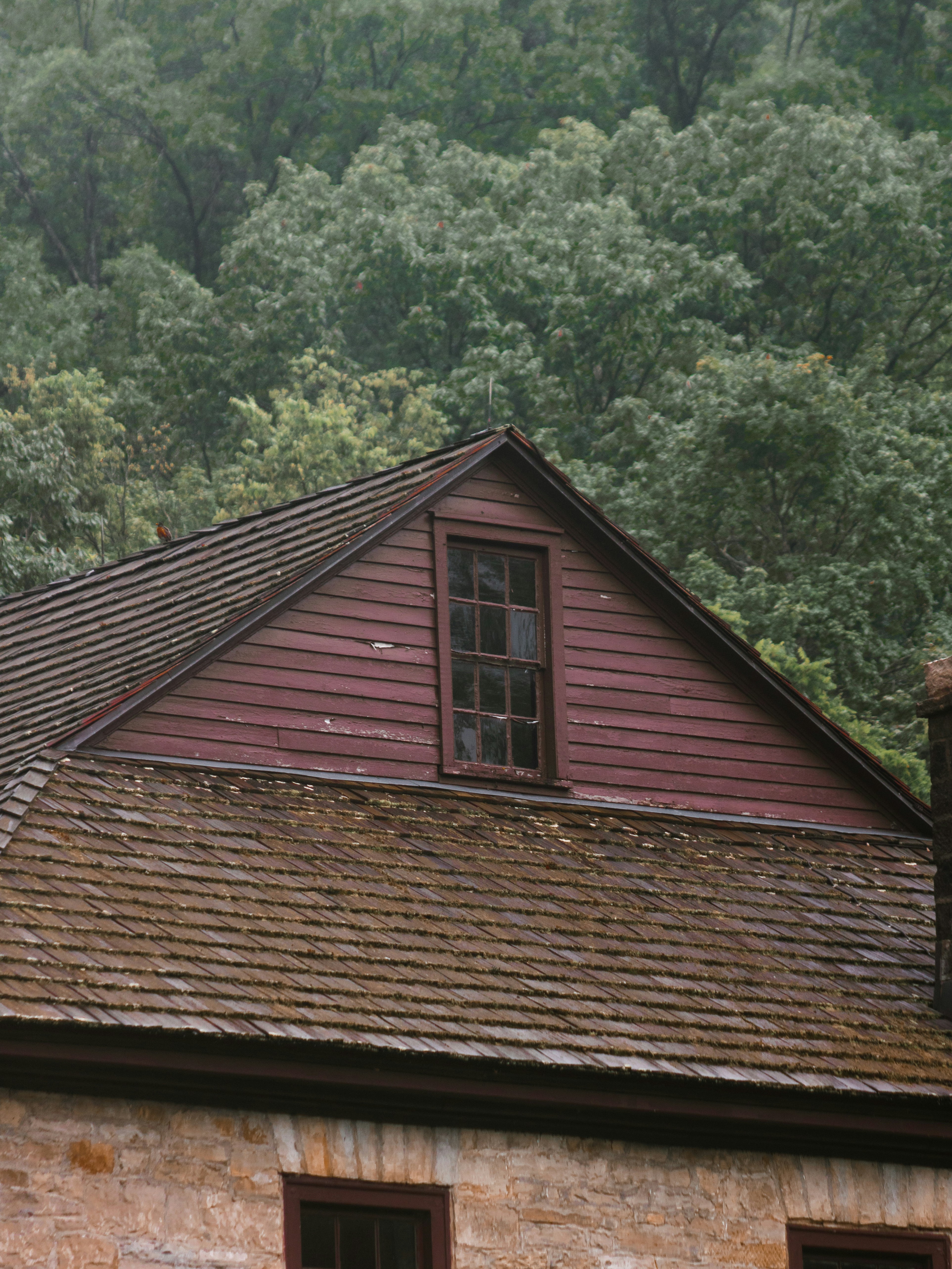 A rustic building rests against a green forest.