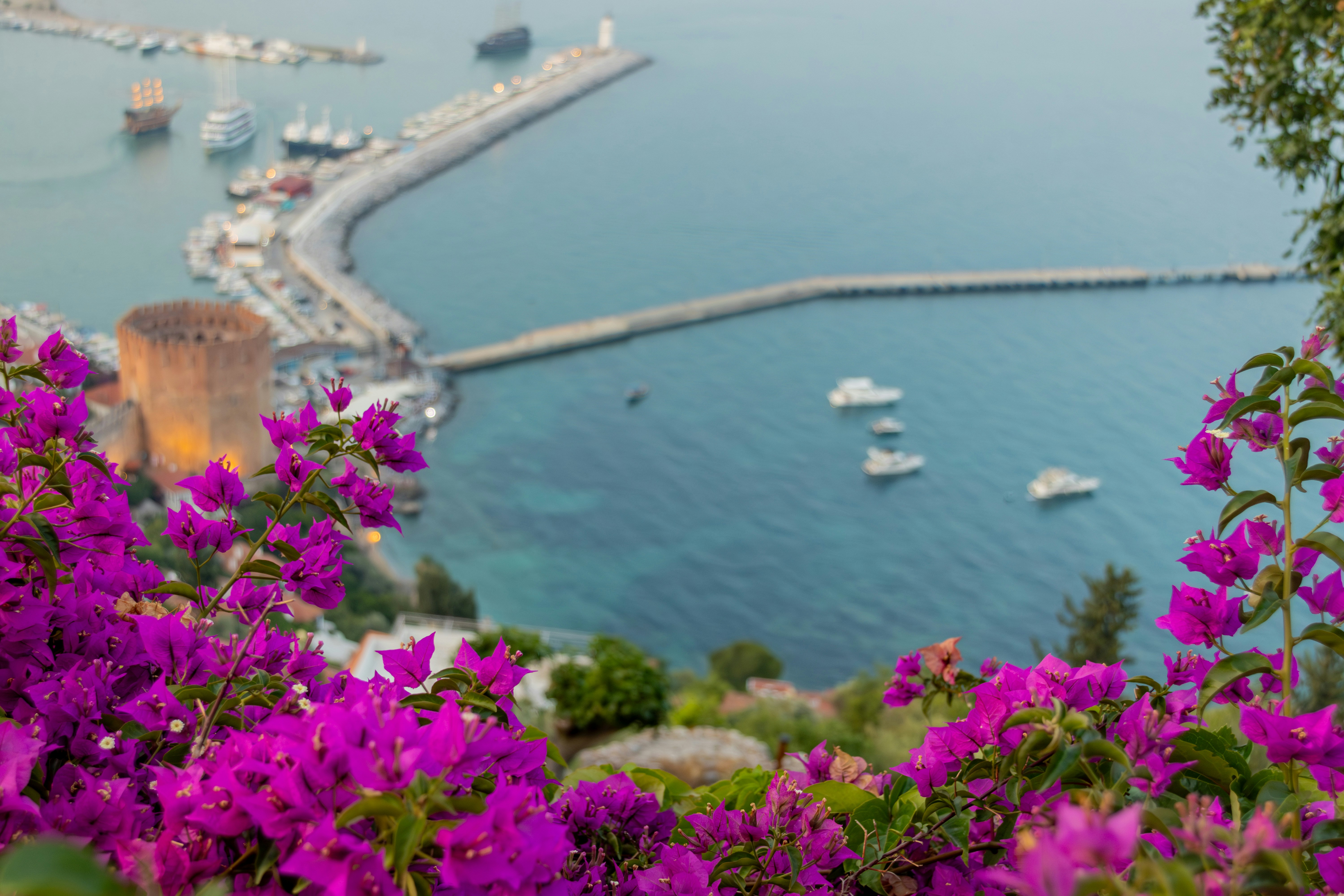 Alanya port | Beautiful harbor and flowers bloom in this scenery.