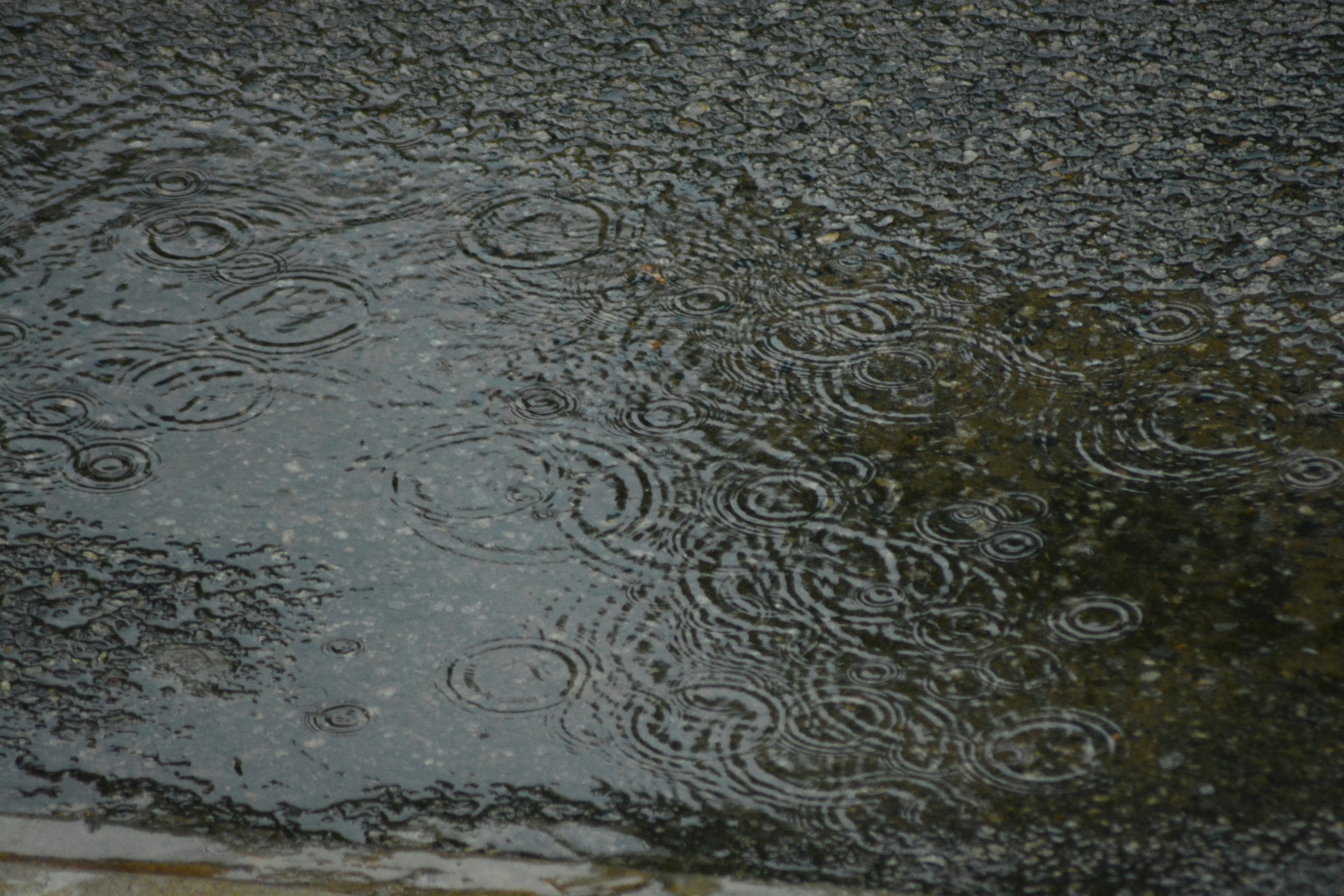 Raindrops create ripples on a wet surface.