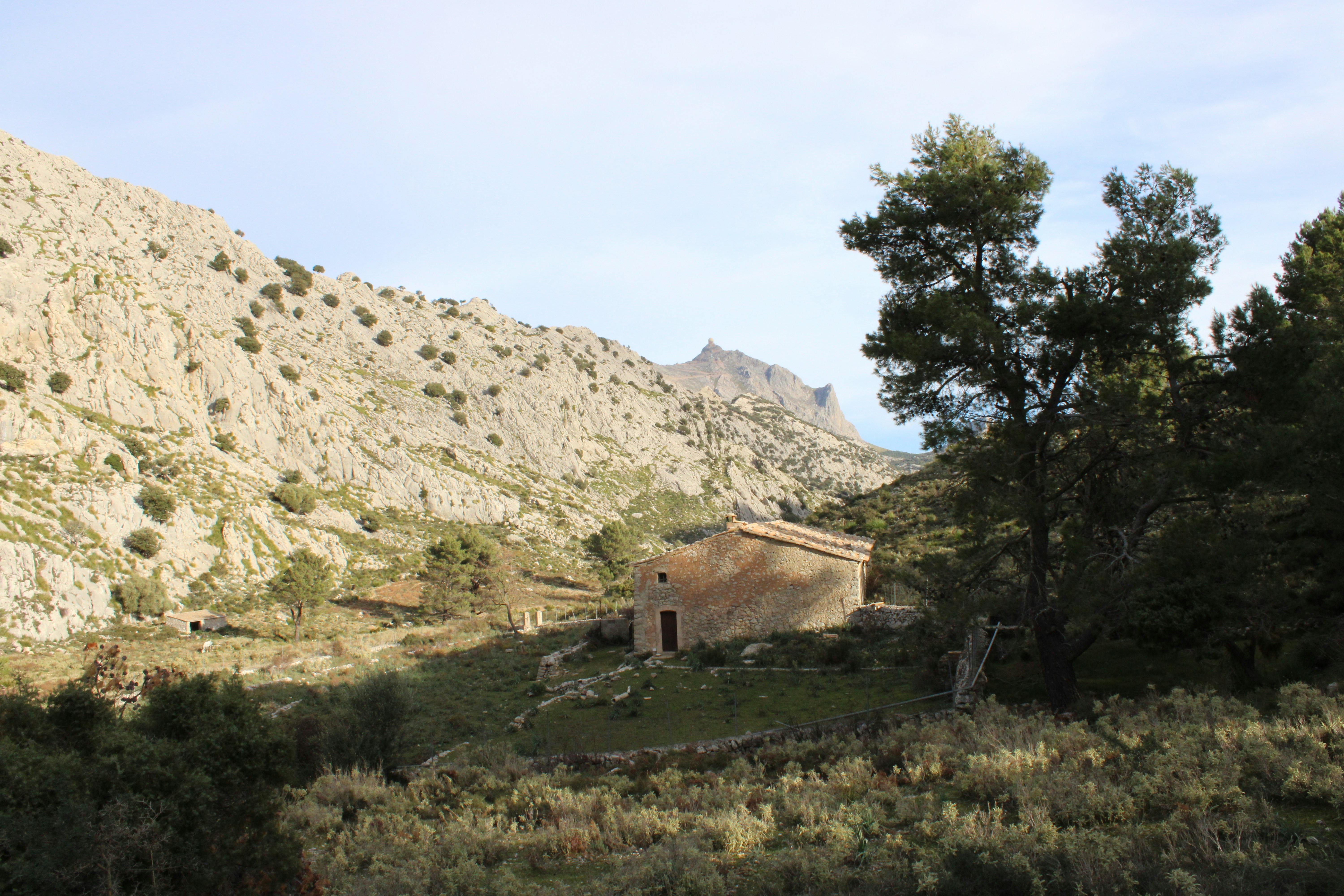 Lone Stone Cottage Nestled Between Rugged Hills and Silent Pines
