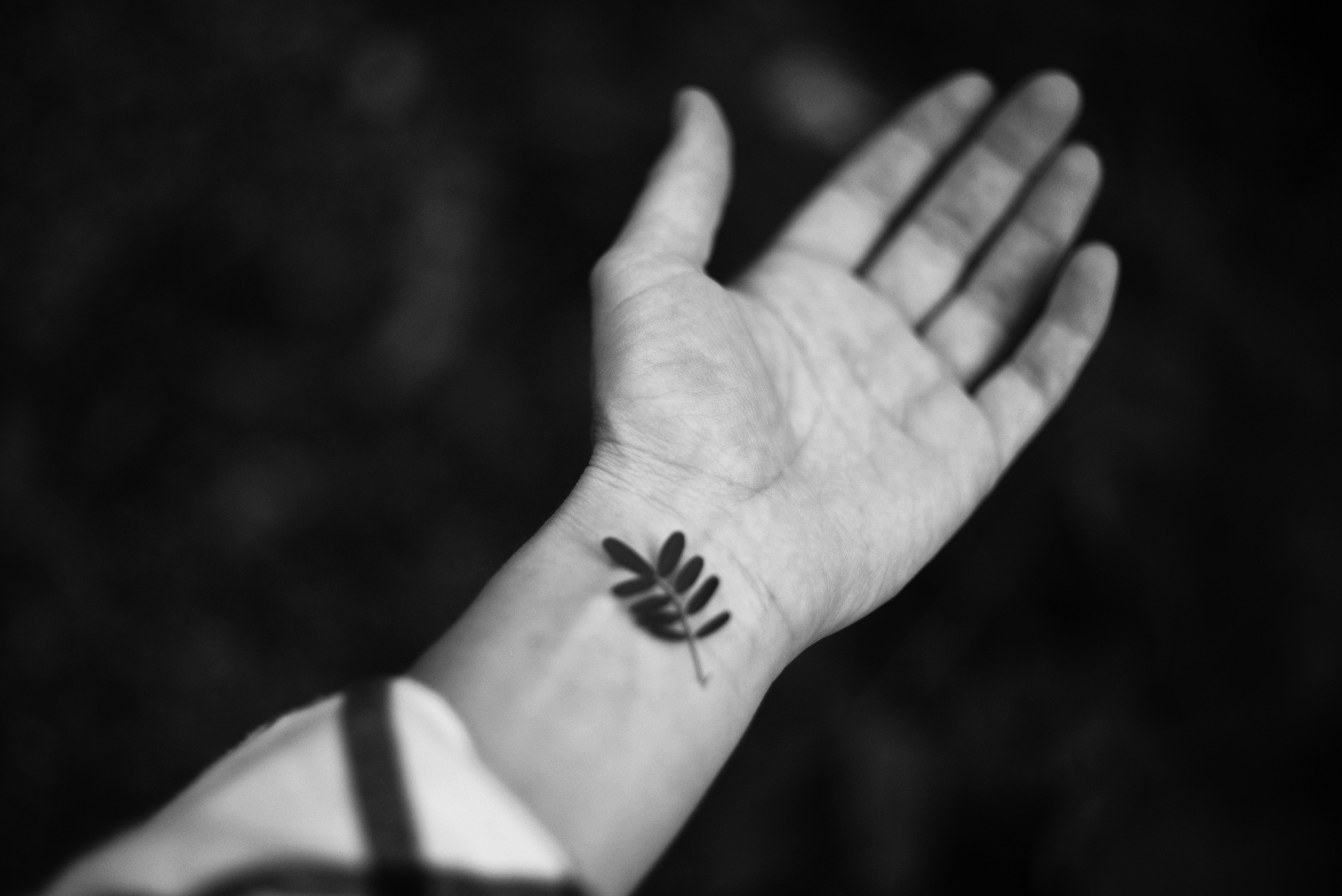 A hand displaying a delicate leaf tattoo against a blurred background, emphasizing the connection between nature and self-expression.