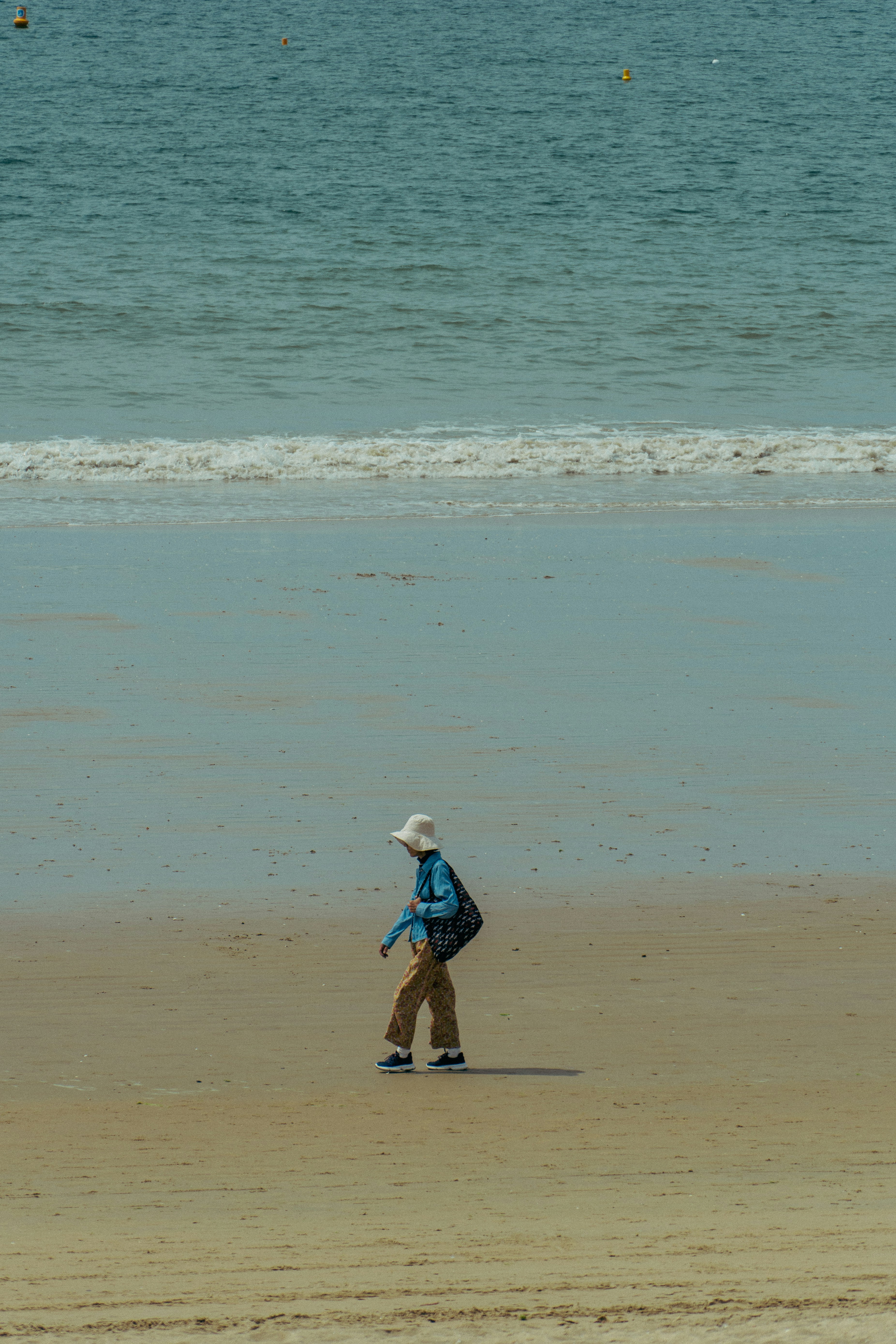 Solitary Stroll Along the Shoreline