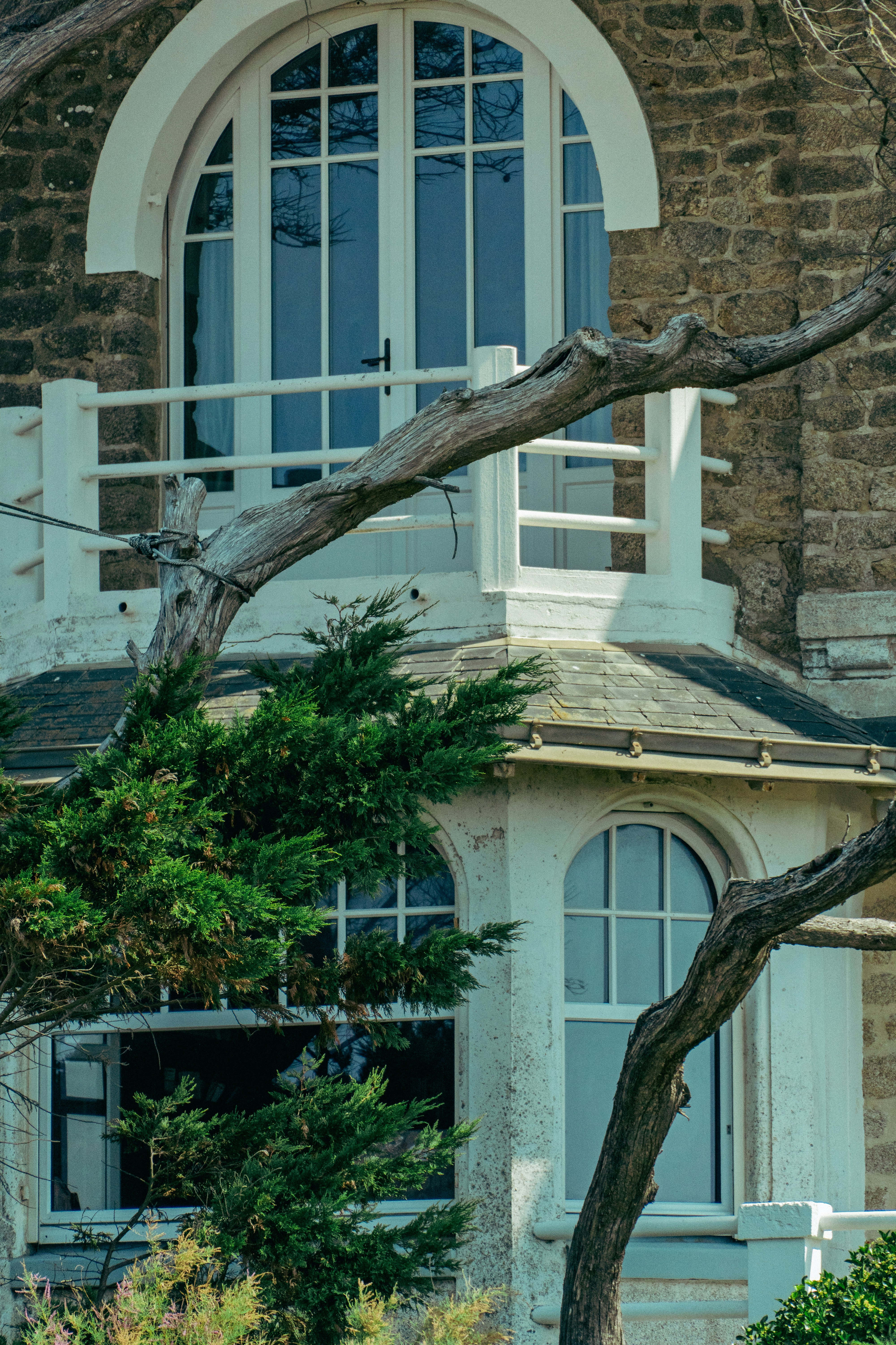 Whispers of Nature and Architecture