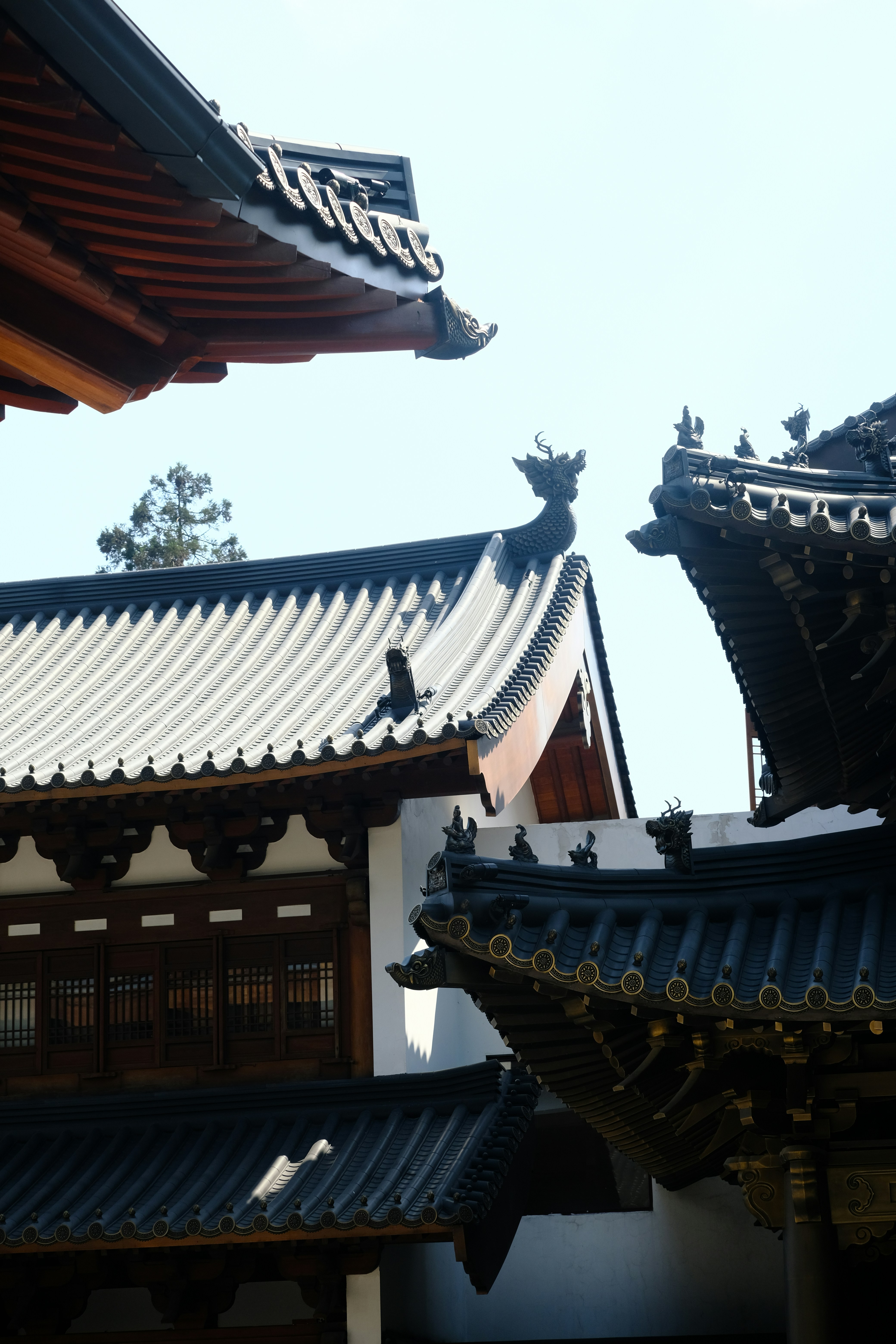 Traditional chinese architecture's intricate rooftops.