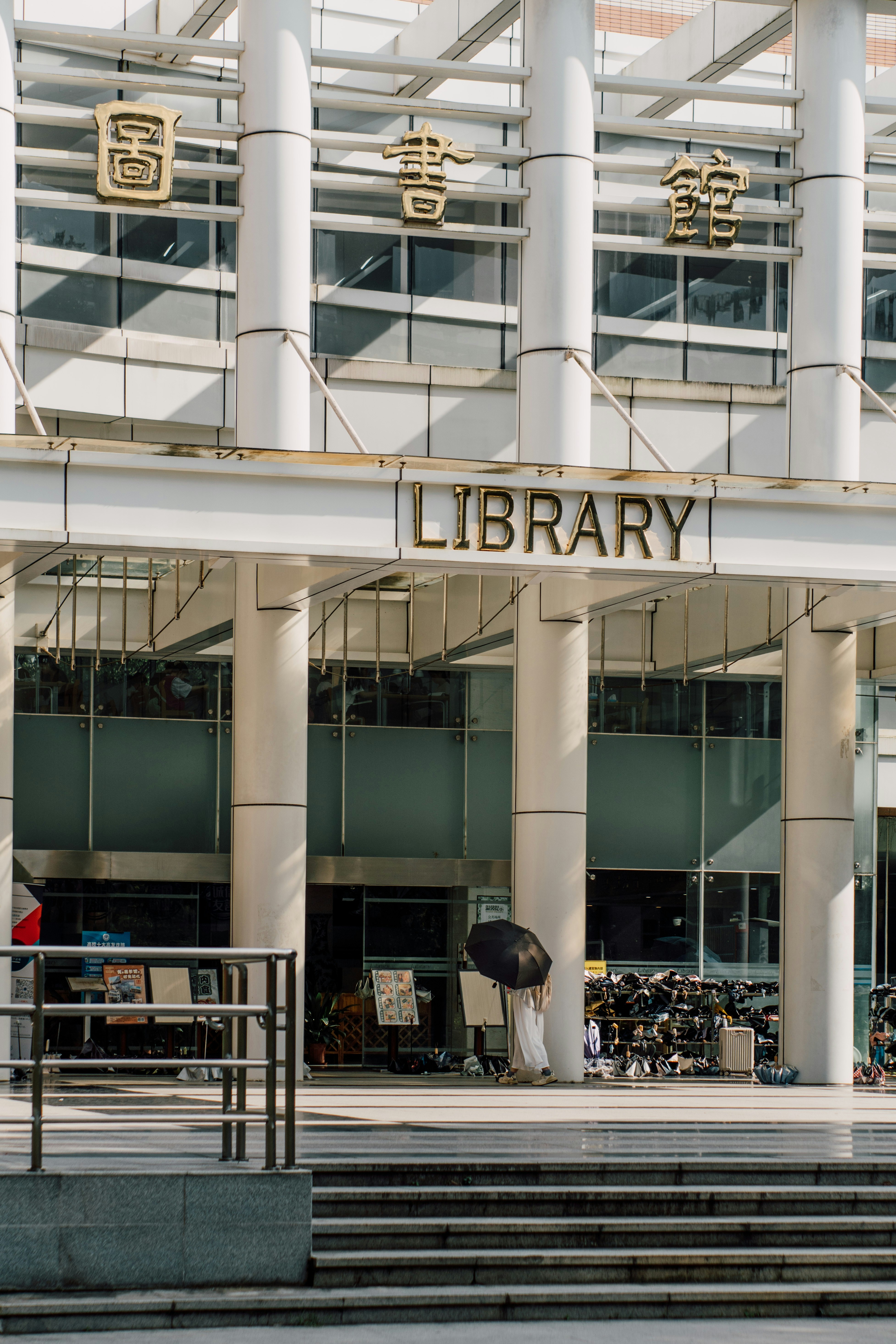 Sheltering Knowledge: A Library's Embrace