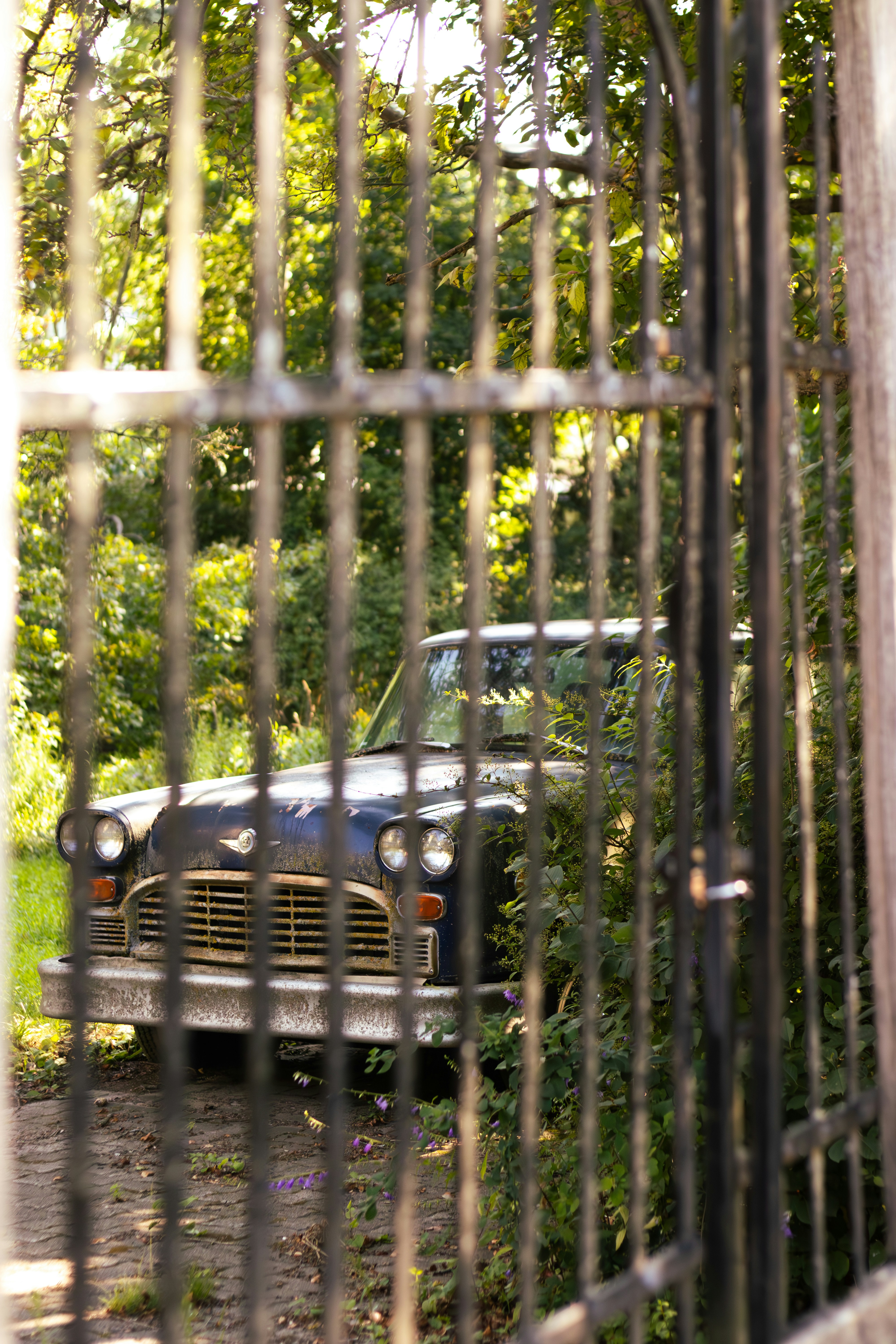 Whispers of the Past: A Forgotten Taxi