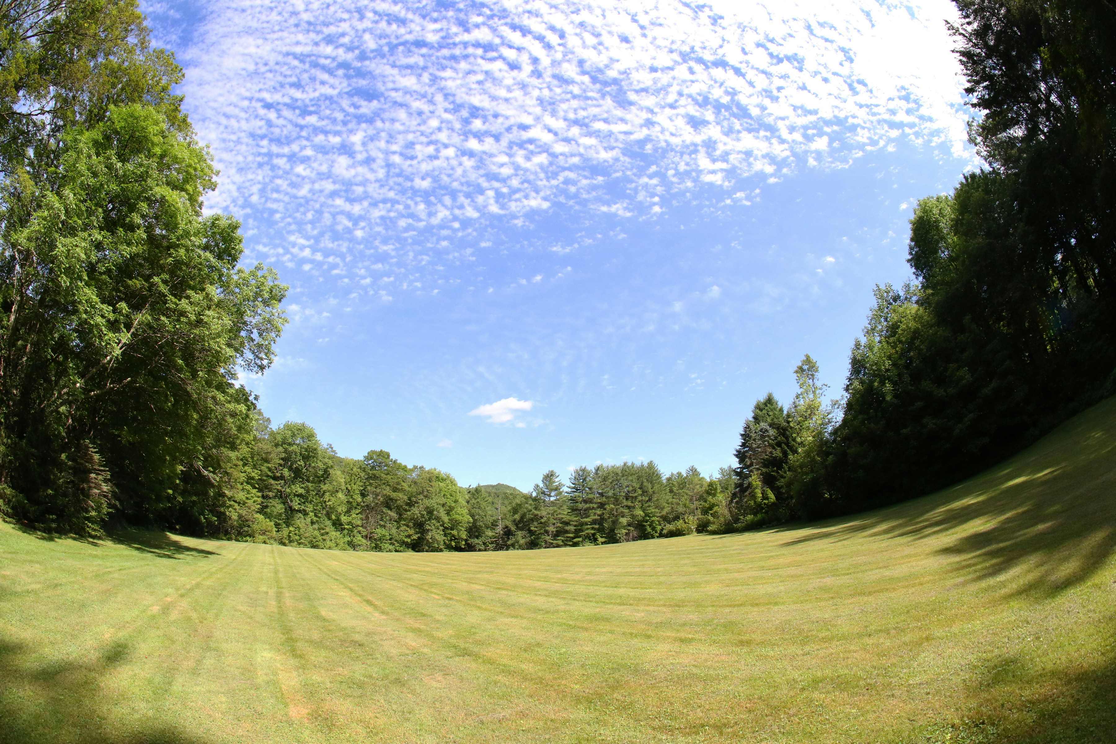 A grassy field with trees and a cloudy sky.