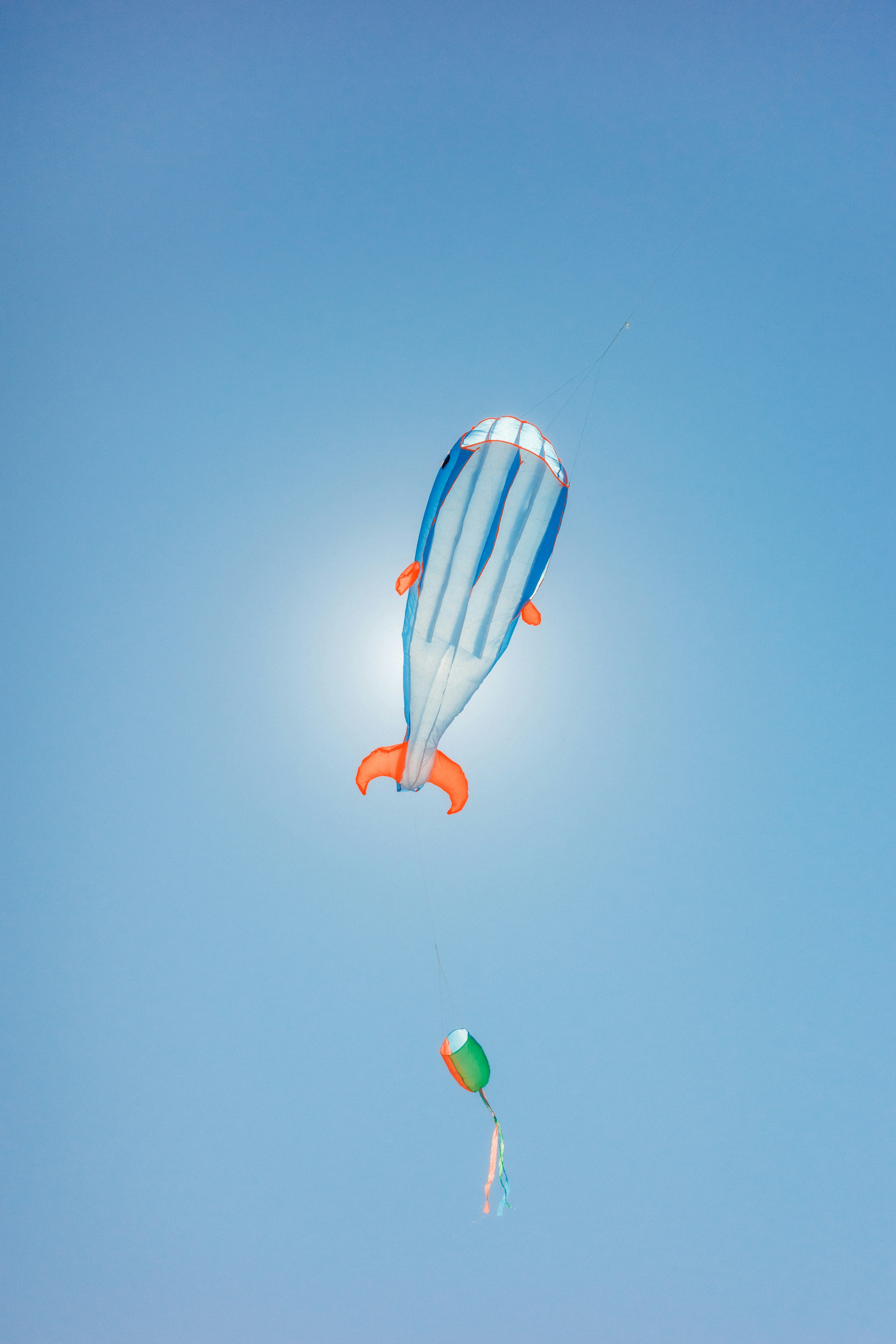 Soaring Dreams: The Playful Sky Whale