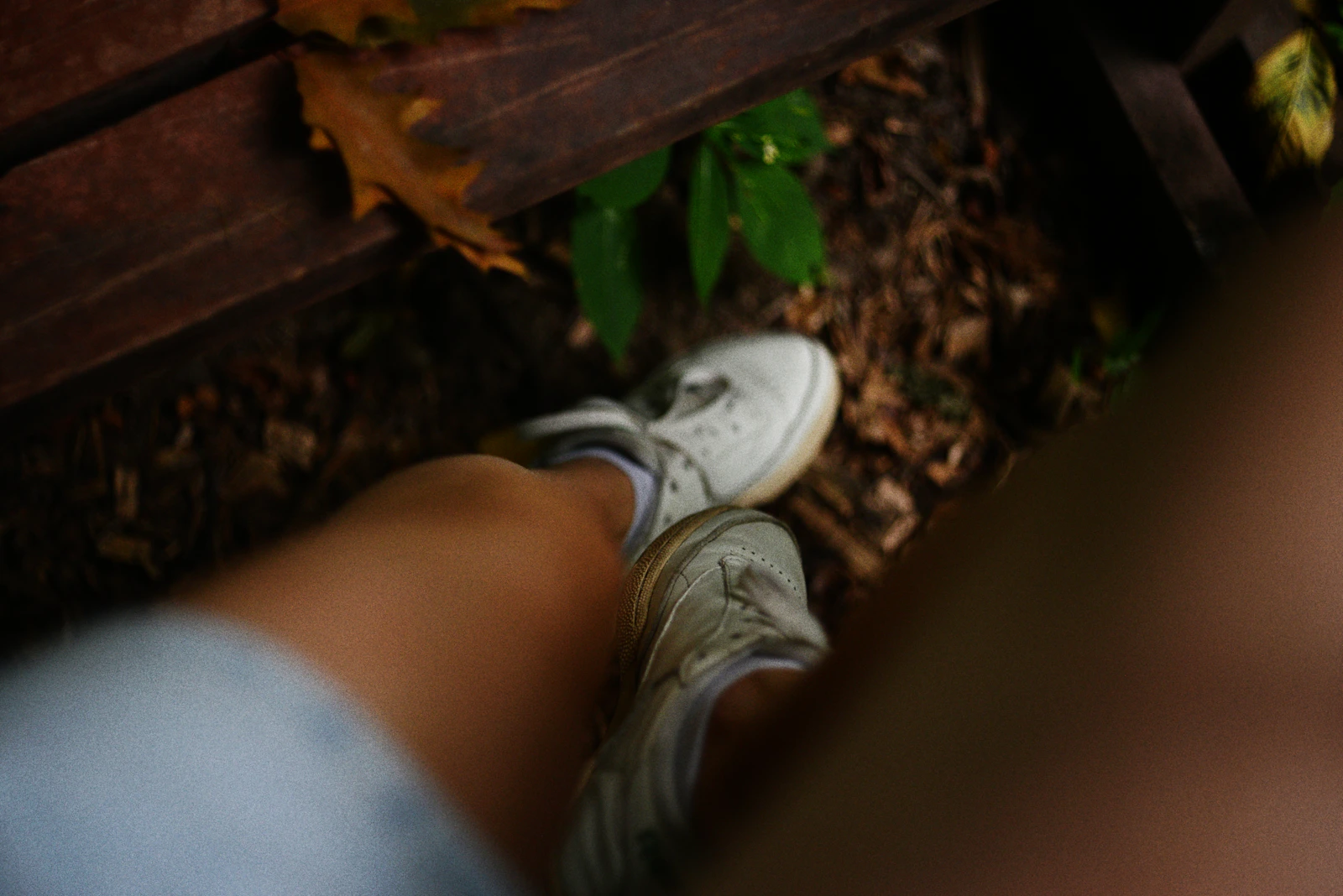 Grounded in Nature: A Moment of Reflection