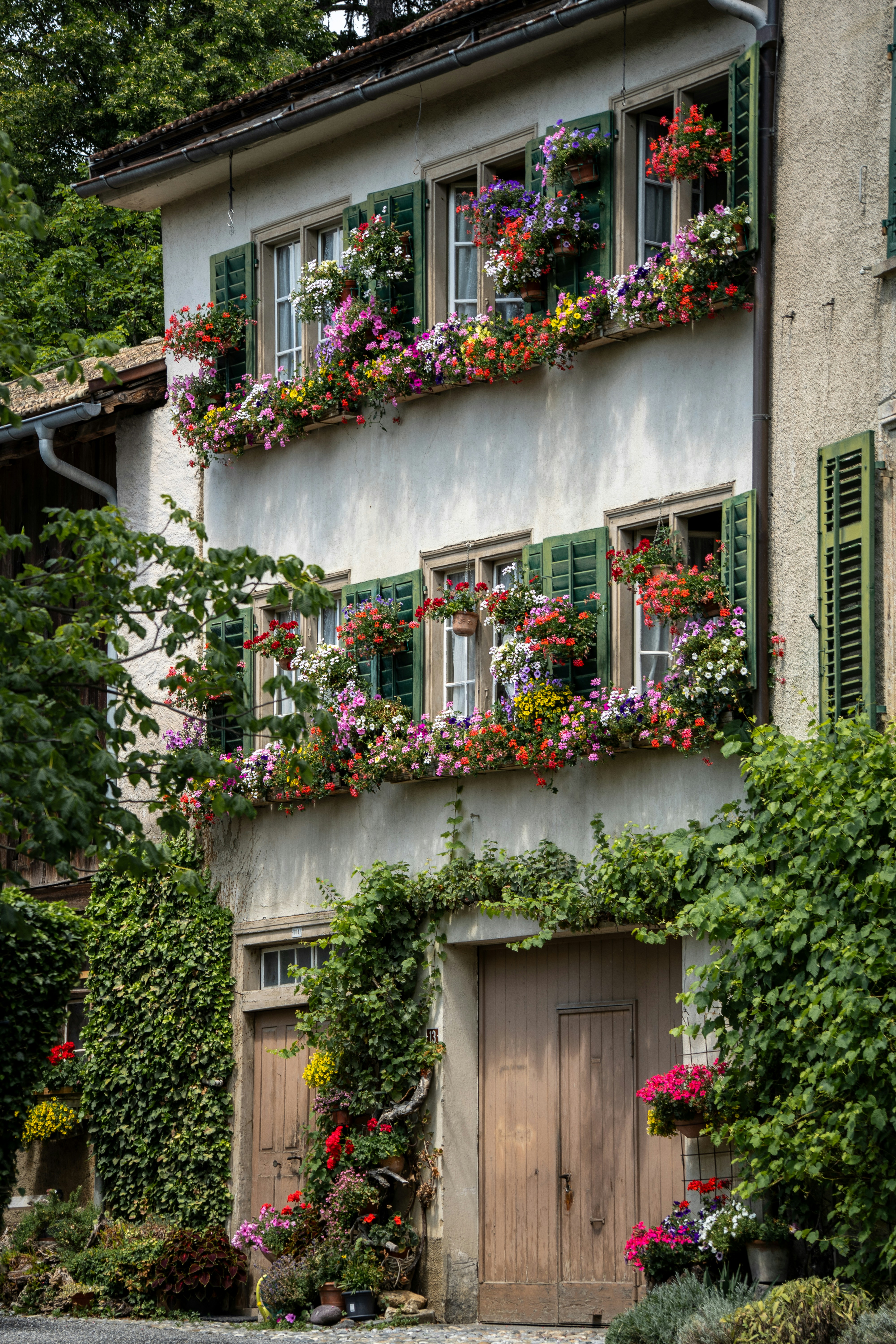 A charming house in Fürstenau, Switzerland, adorned with overflowing window boxes of vibrant flowers and lush green shutters. Ivy climbs the weathered façade, while bursts of red, pink, purple, and white blossoms bring this rustic European village scene to life. | A charming house is overflowing with colorful flowers.