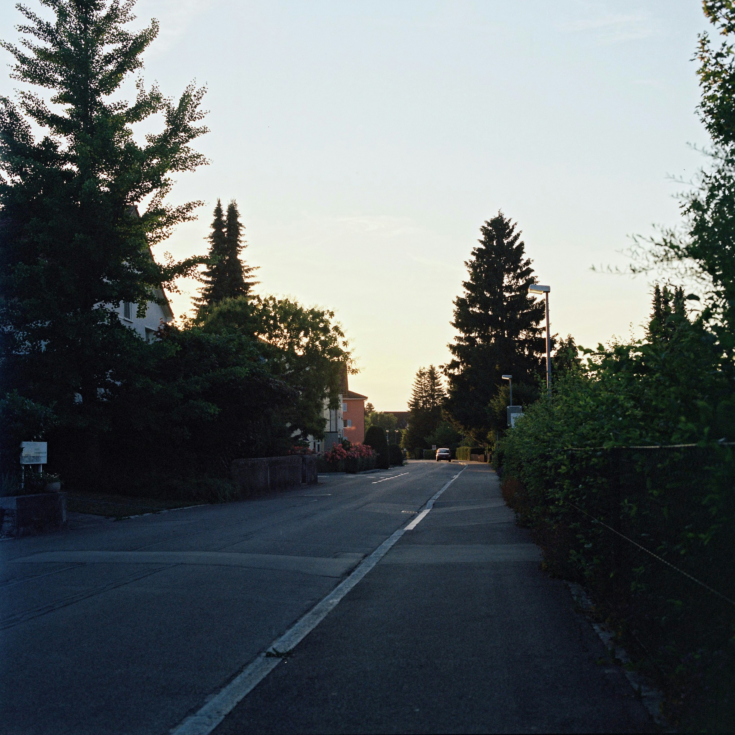 Twilight Serenity on a Quiet StreetMalcolm Mittendrin