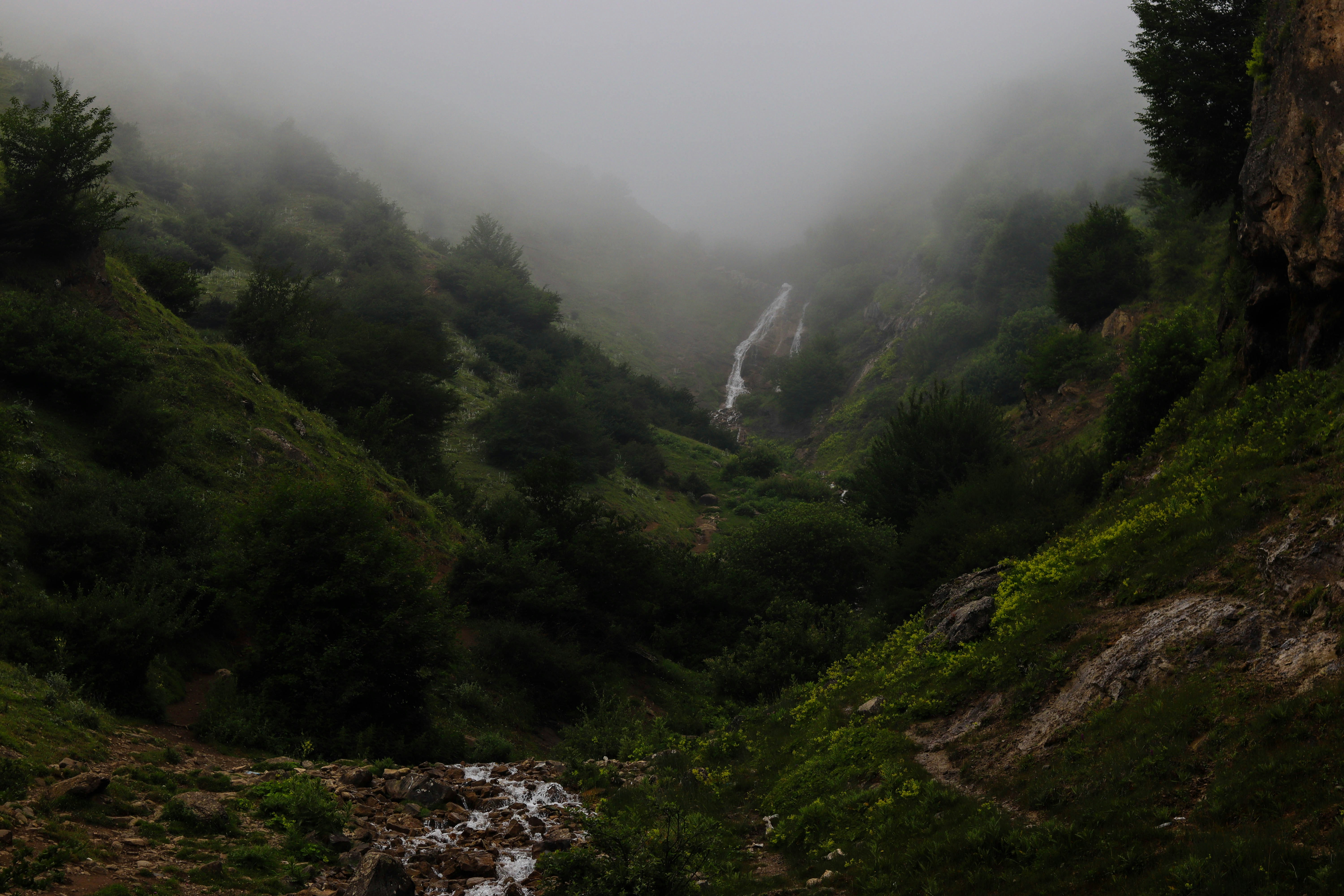 Whispers of the Misty Valley