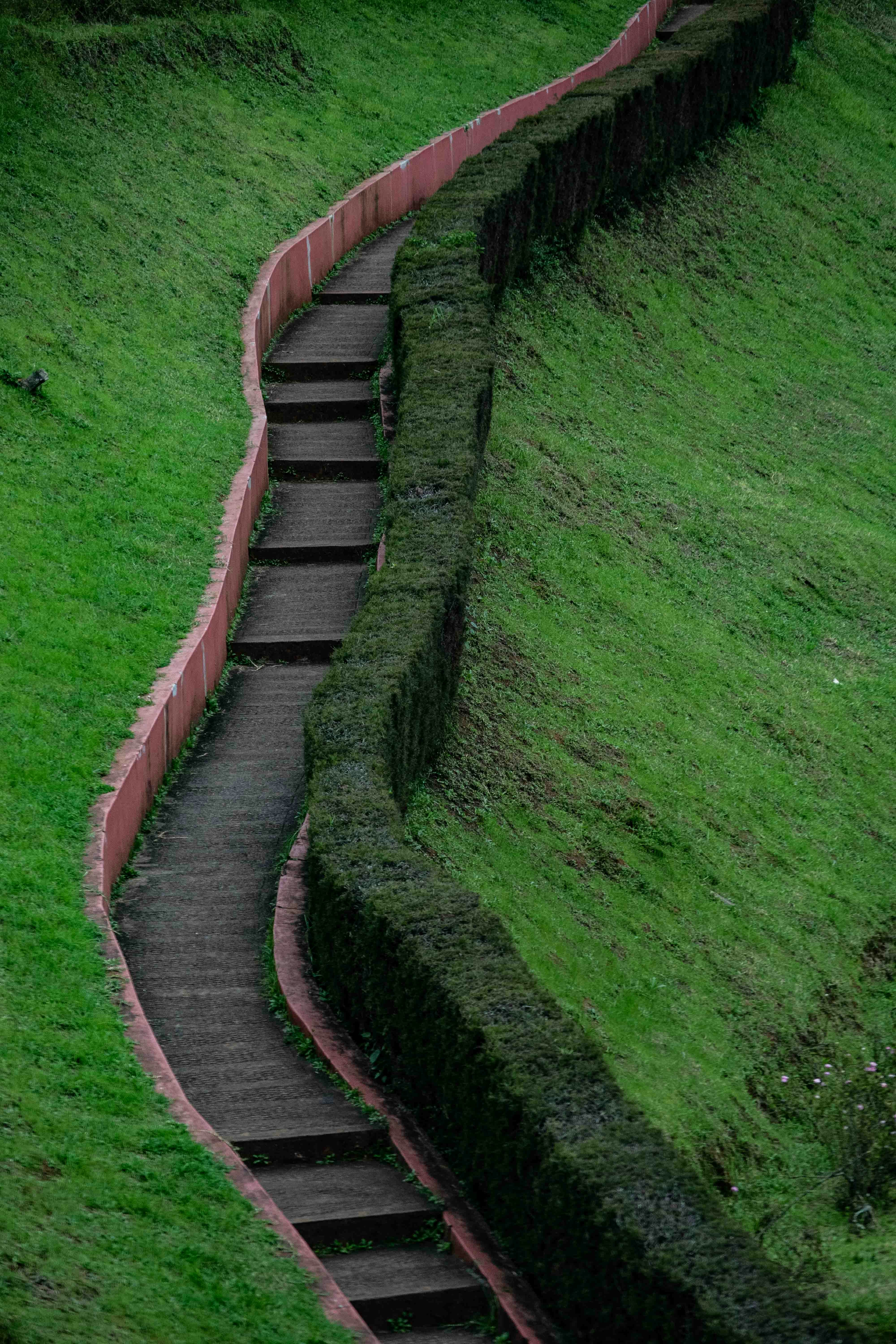 A winding path leads up a green hillside.