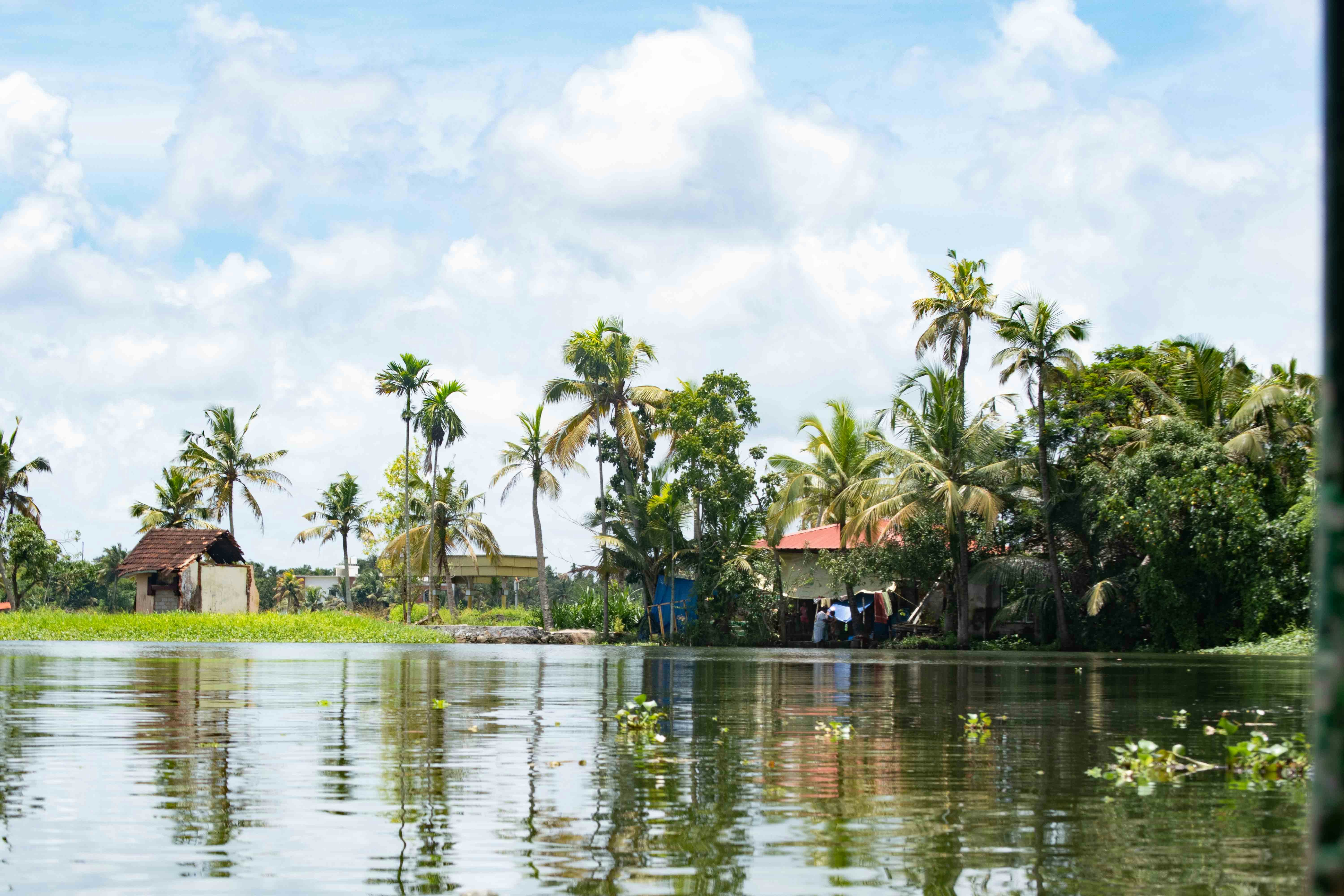 Houses and palm trees reflect in calm water.