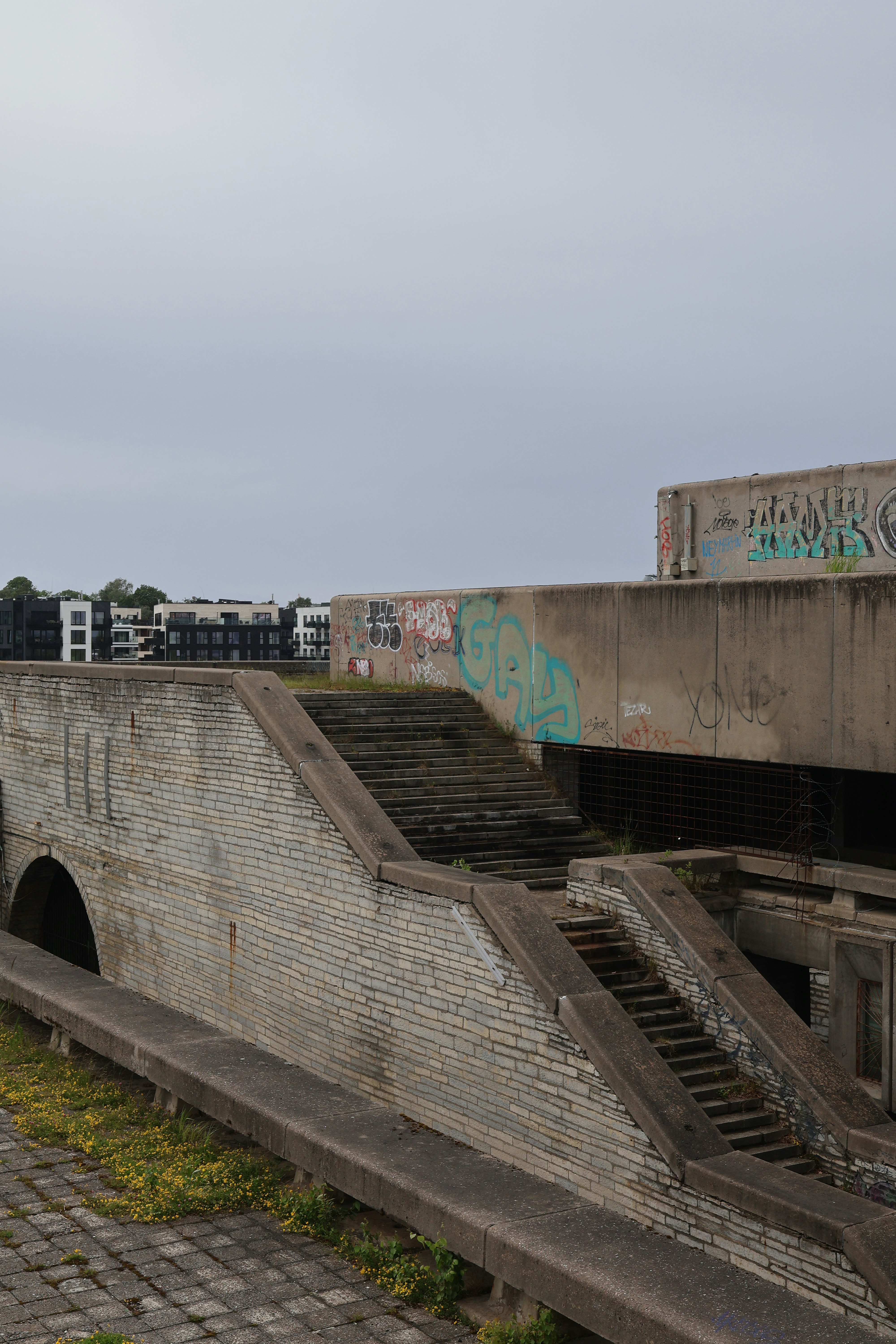 Urban Decay: A Study in Concrete and Color