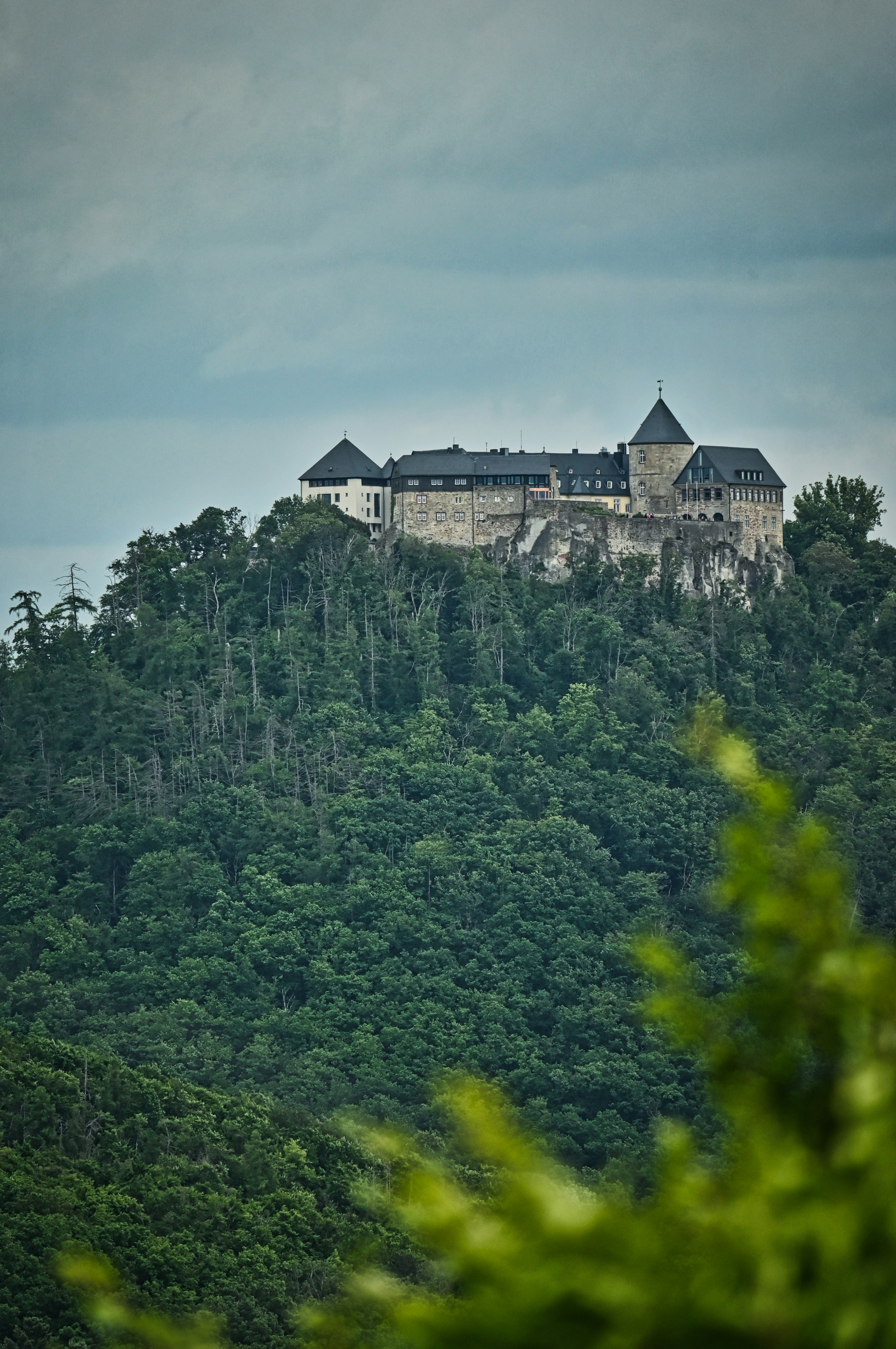 Schloß Waldeck | A castle rests atop a lush, green hill.