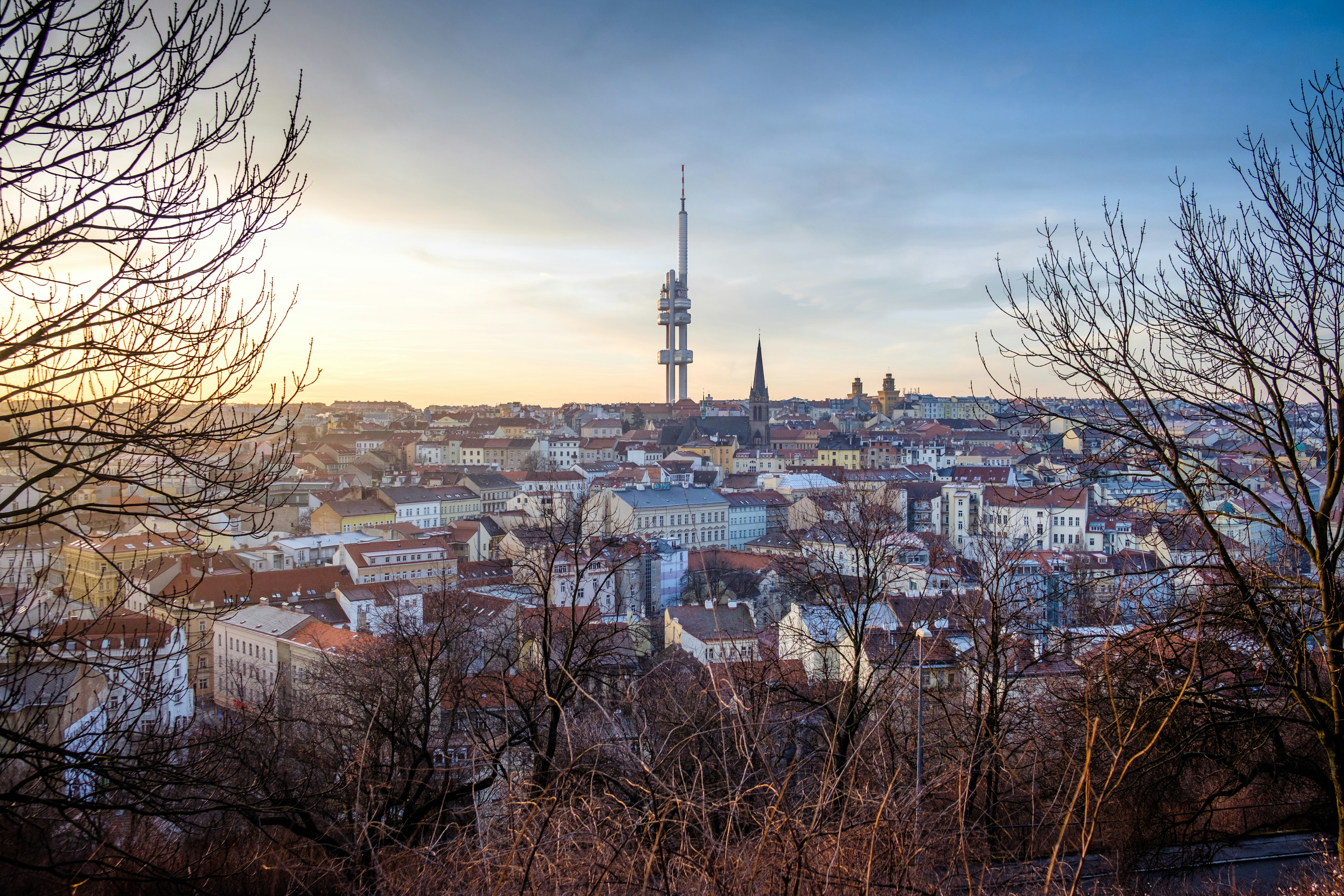 Cityscape view with a tall tower on the horizon.