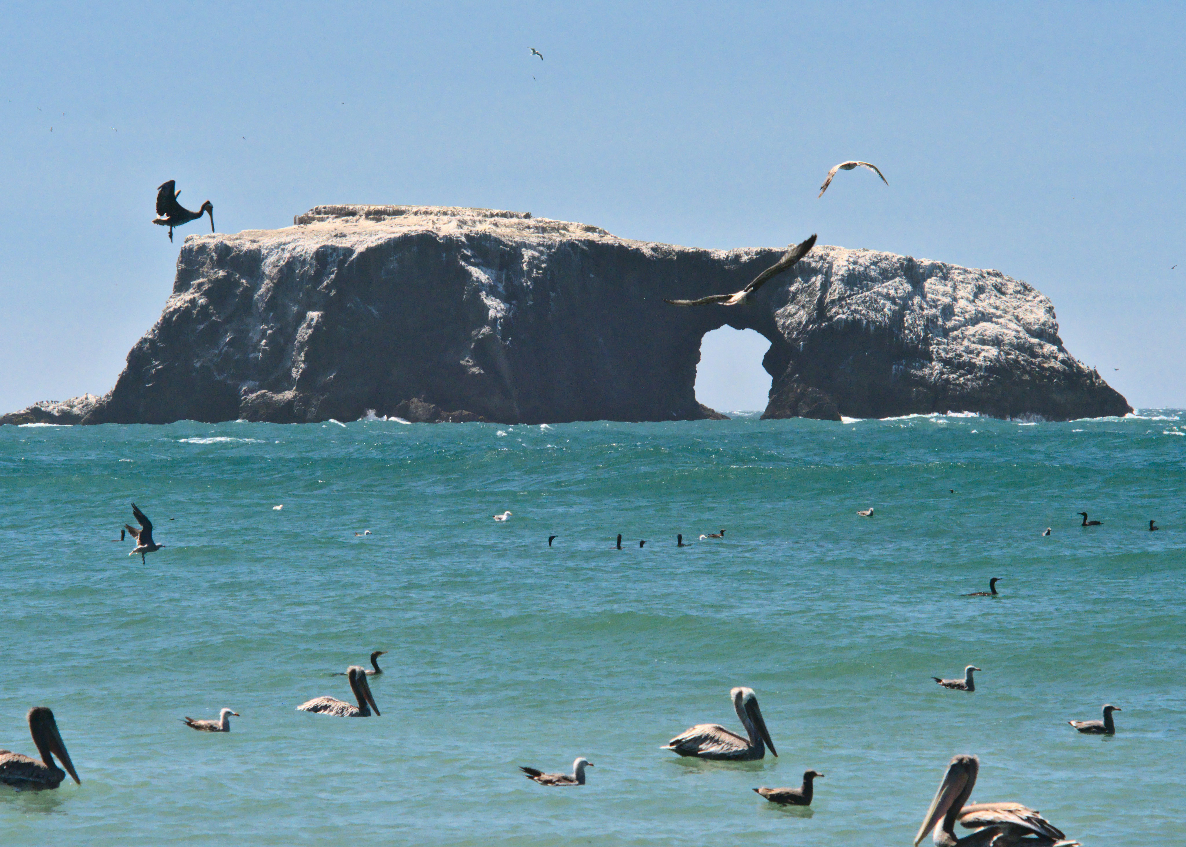 Birds fly near an island with a hole.