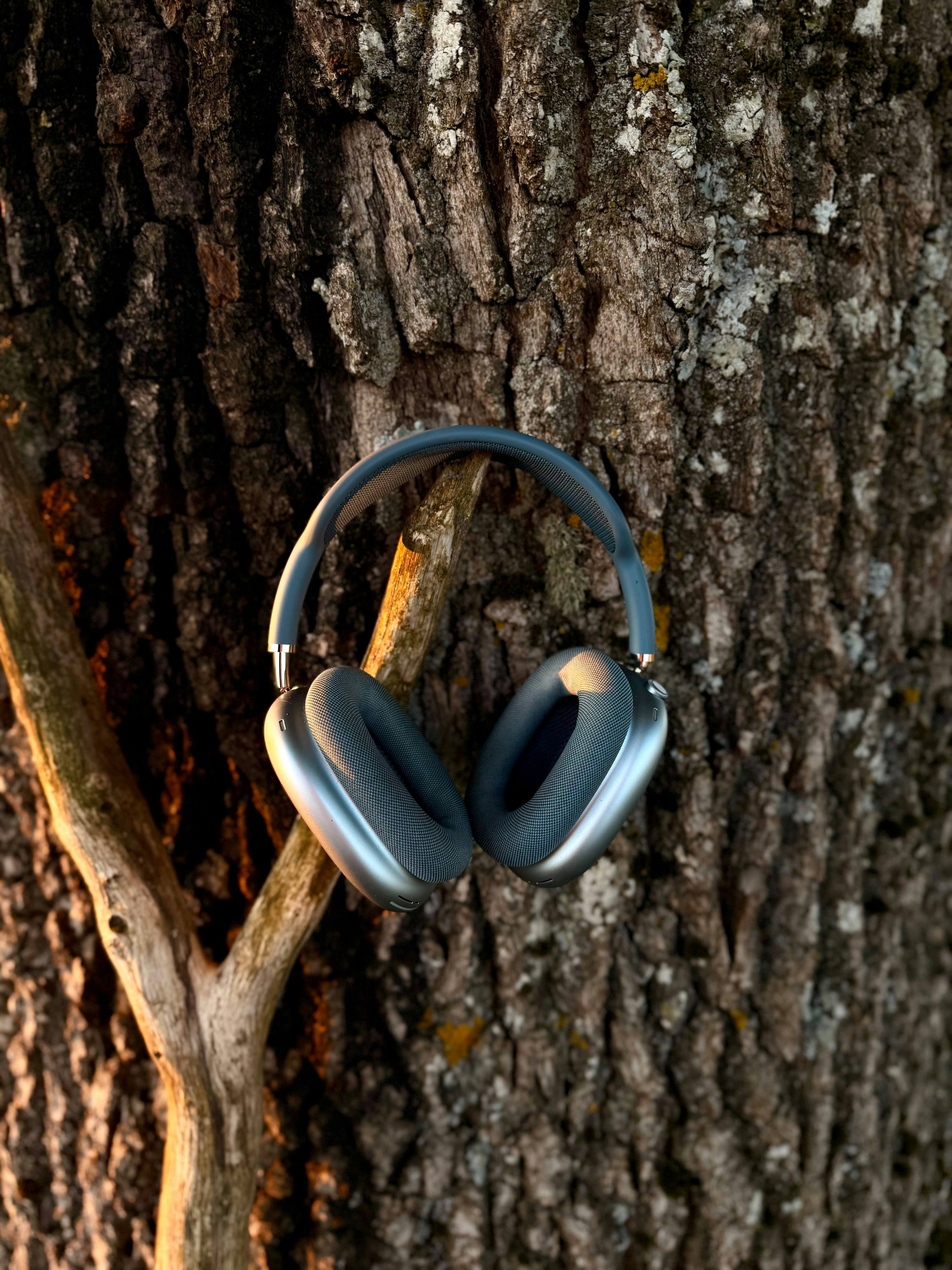 Harmony of Nature and Sound
