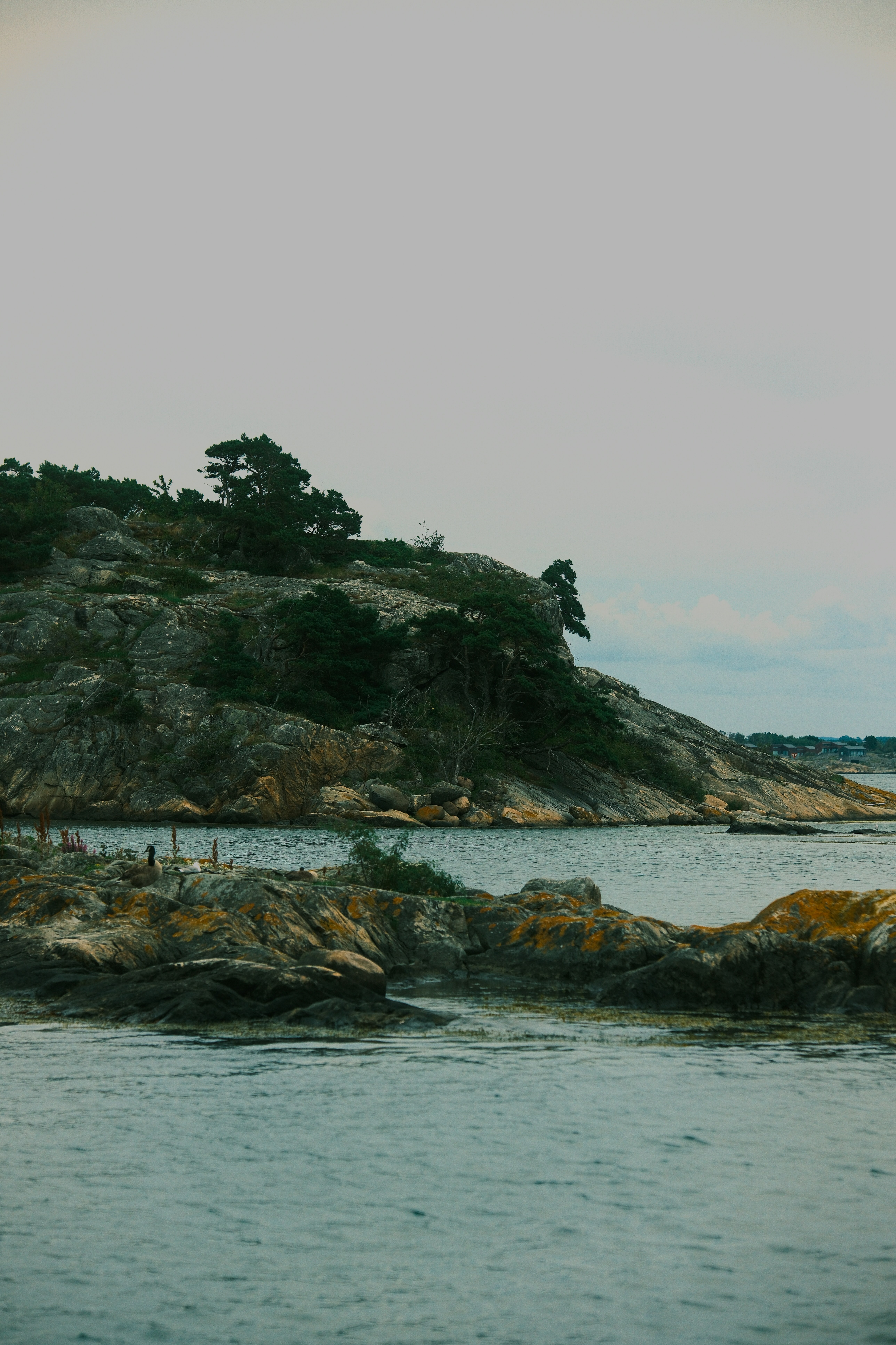 A summers day, cruising on the Gothenburg Archipelago, Sweden | Rocky shore with trees along the water.