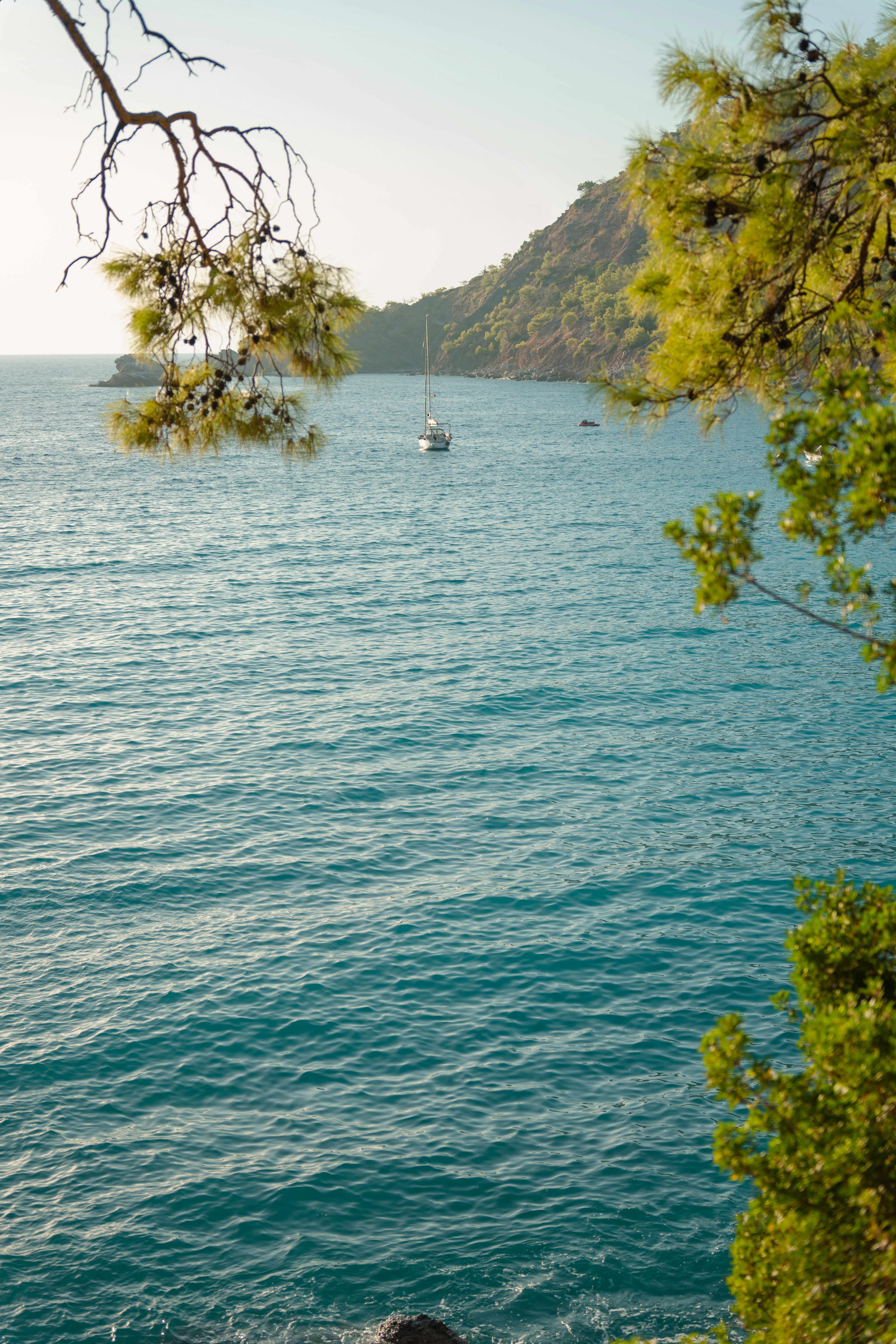 Calm ocean scene with a boat and some trees.