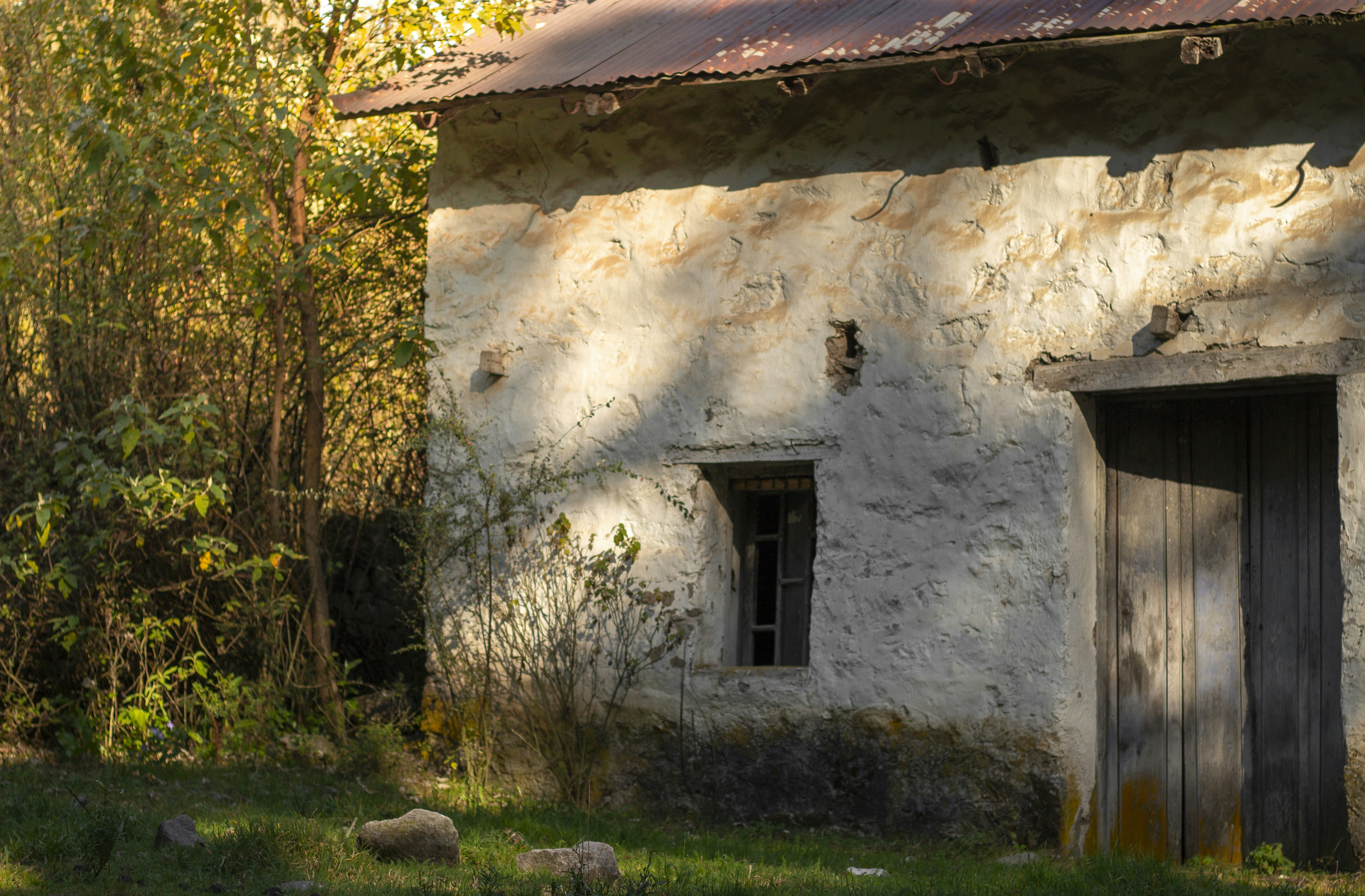 Old rustic building in a forest setting.