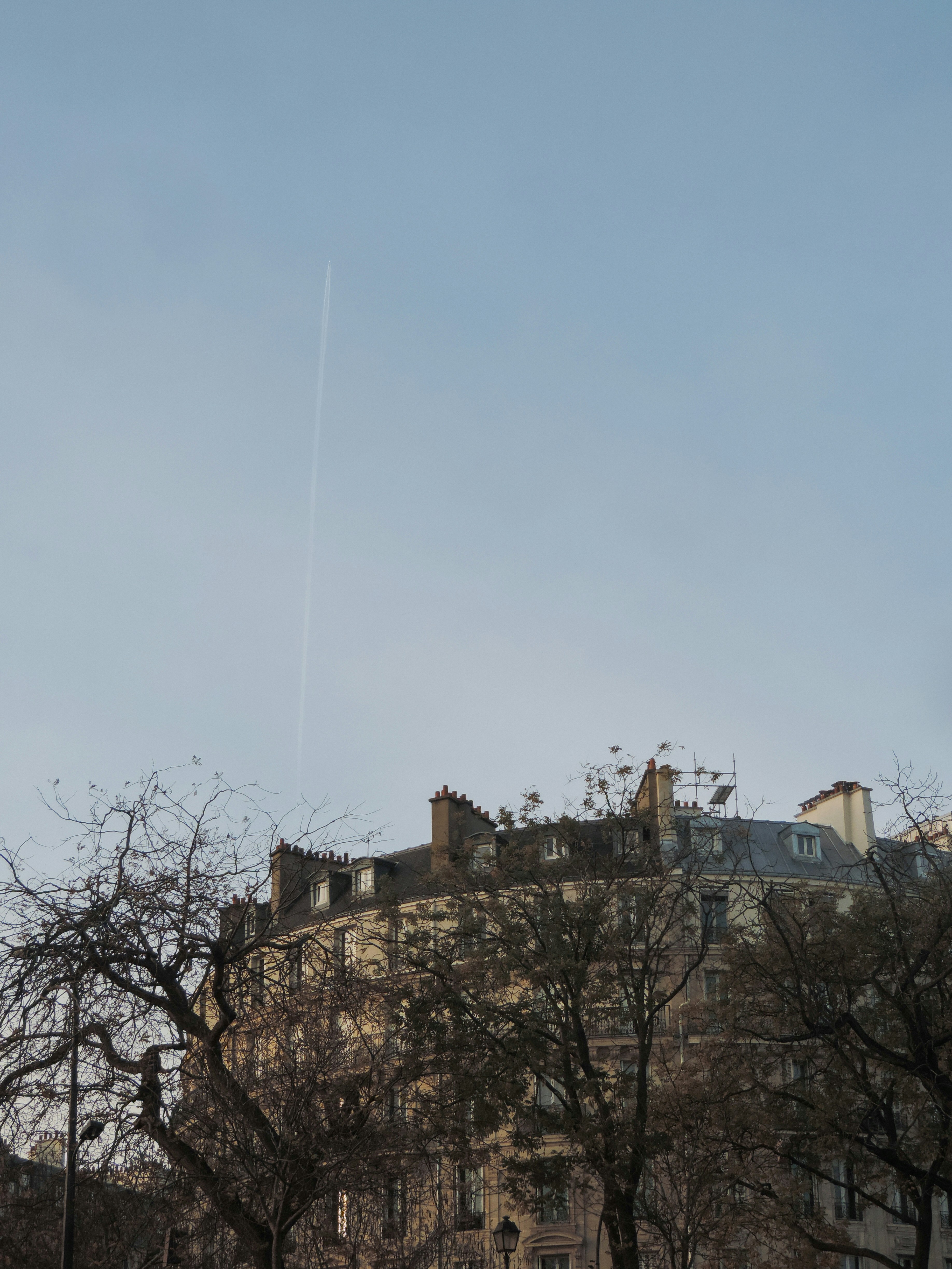 Whispers of the Sky: An Urban Canopy