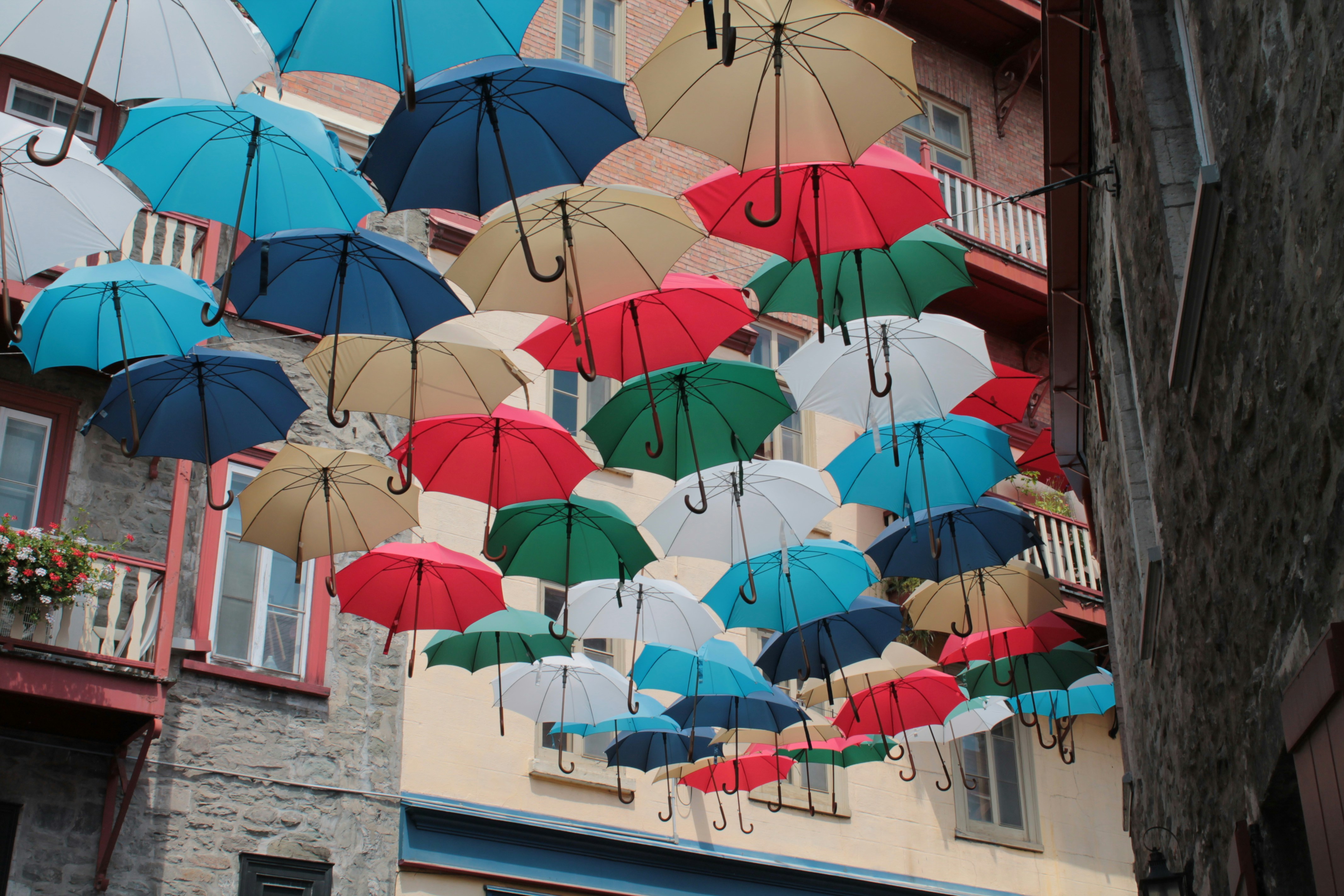 A Canopy of Colorful Umbrellas: Urban Artistry in the Sky