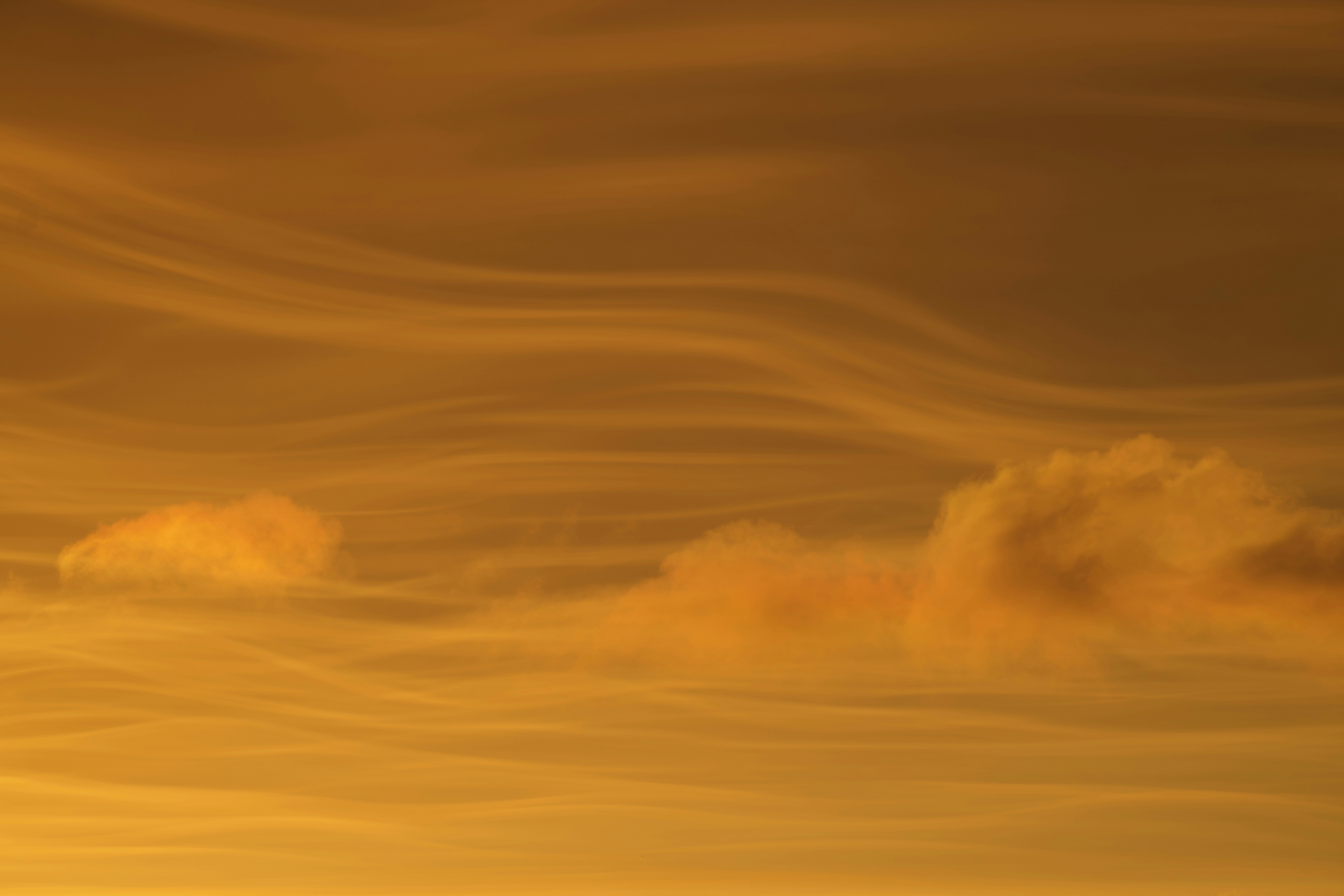 Whispers of the Golden Sky