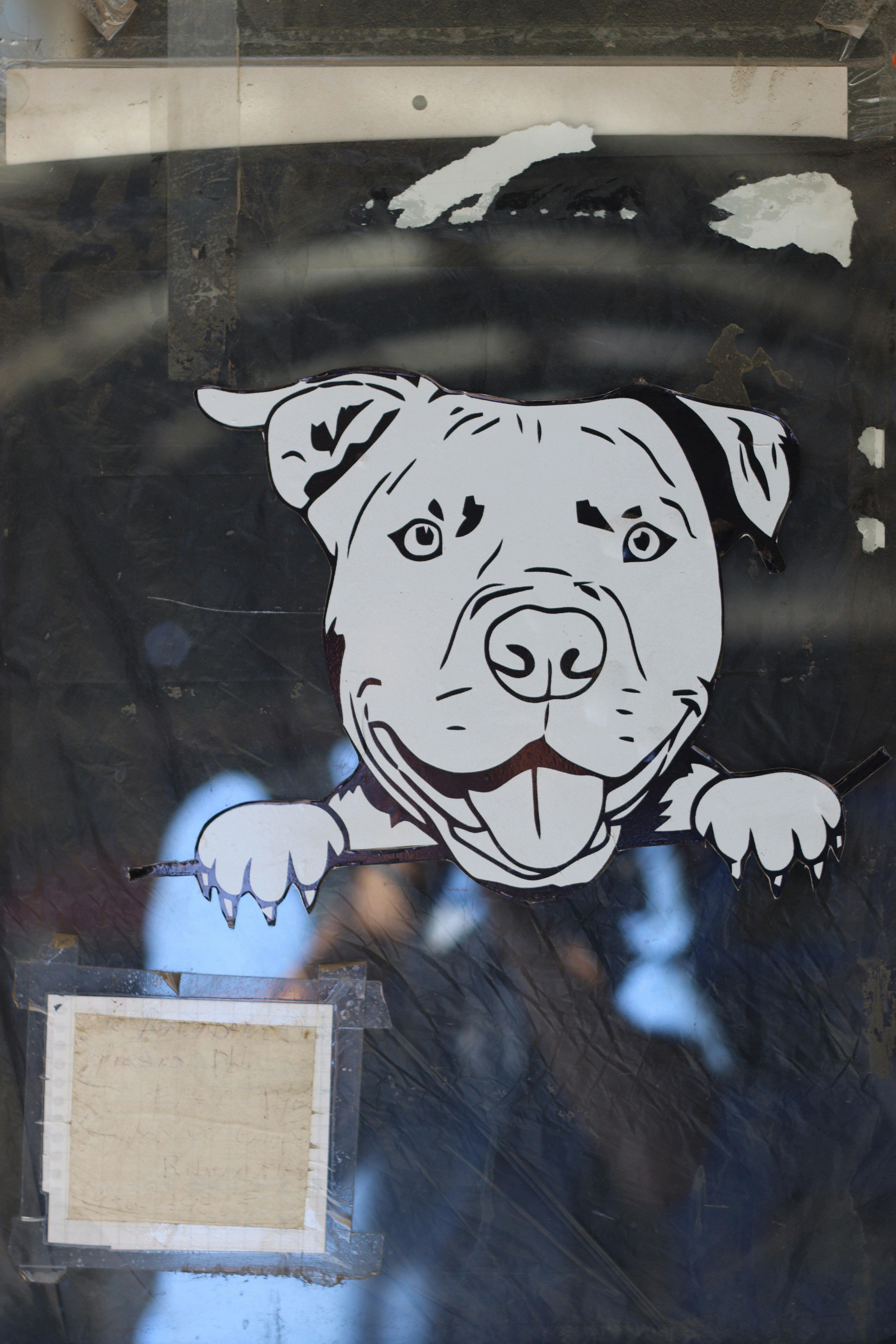 Paw-sitive Vibes: A Playful Canine Encounter