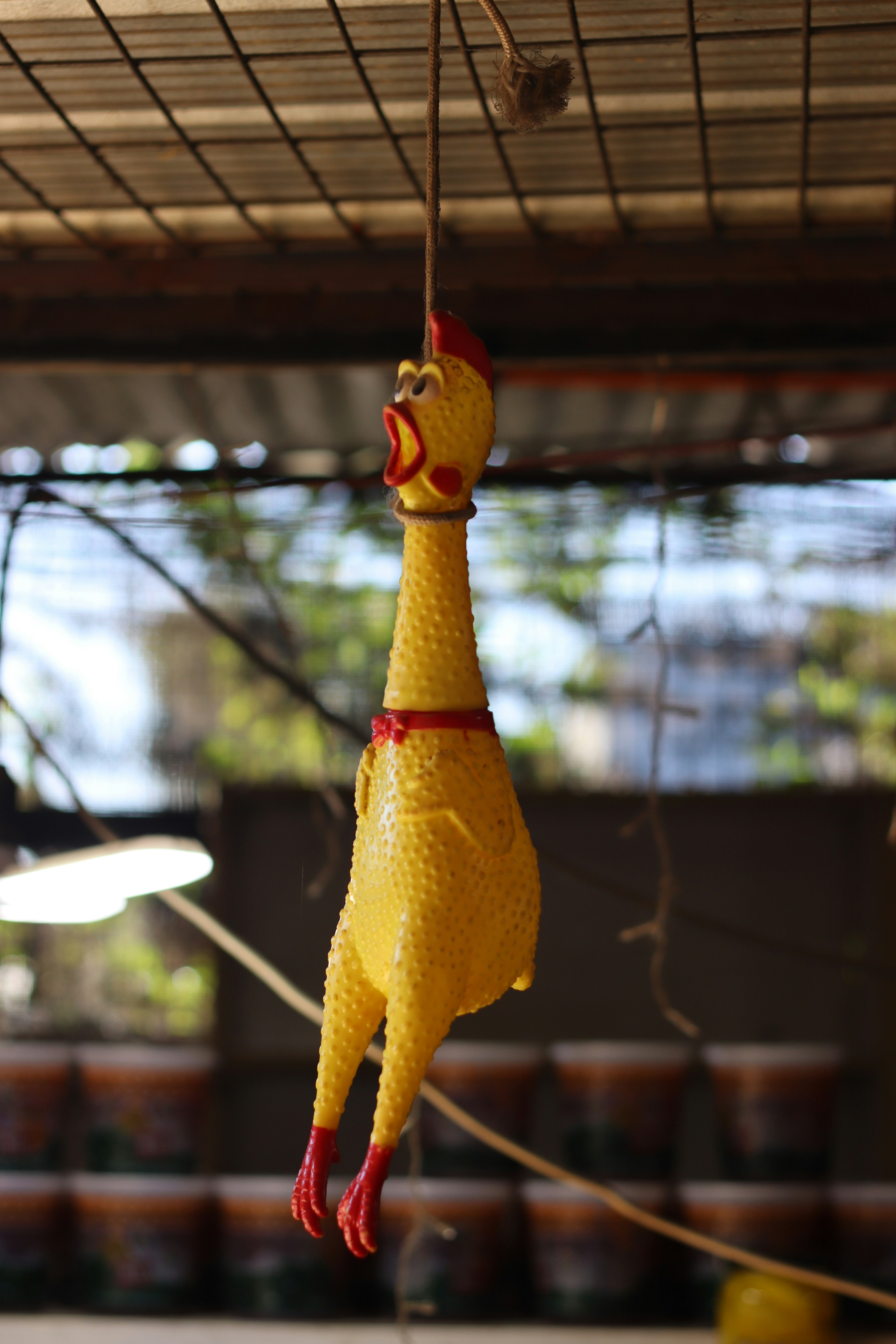 Whimsical Yellow Chicken Charm