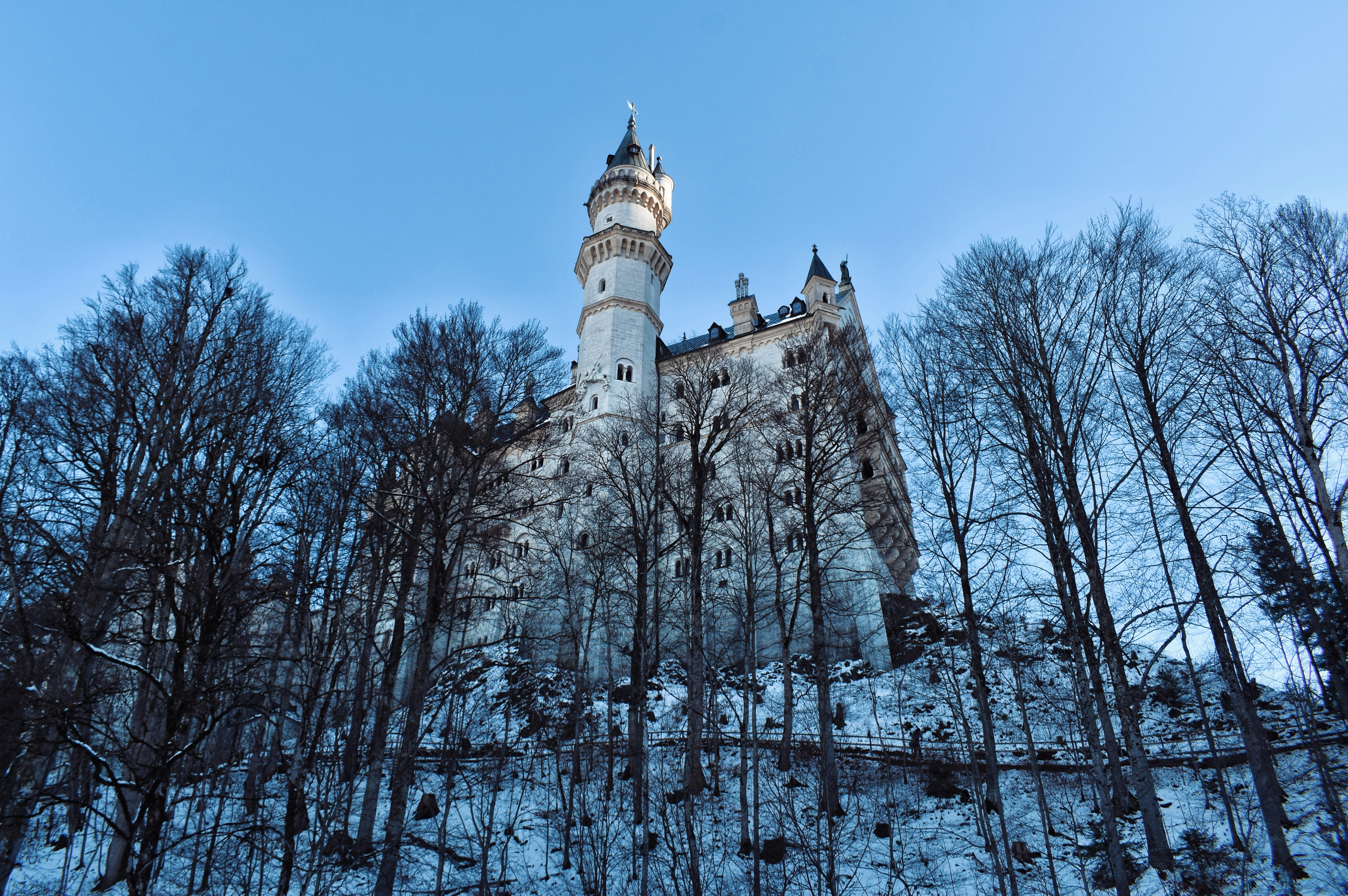 Neuschwanstein castle stands majestically in winter.