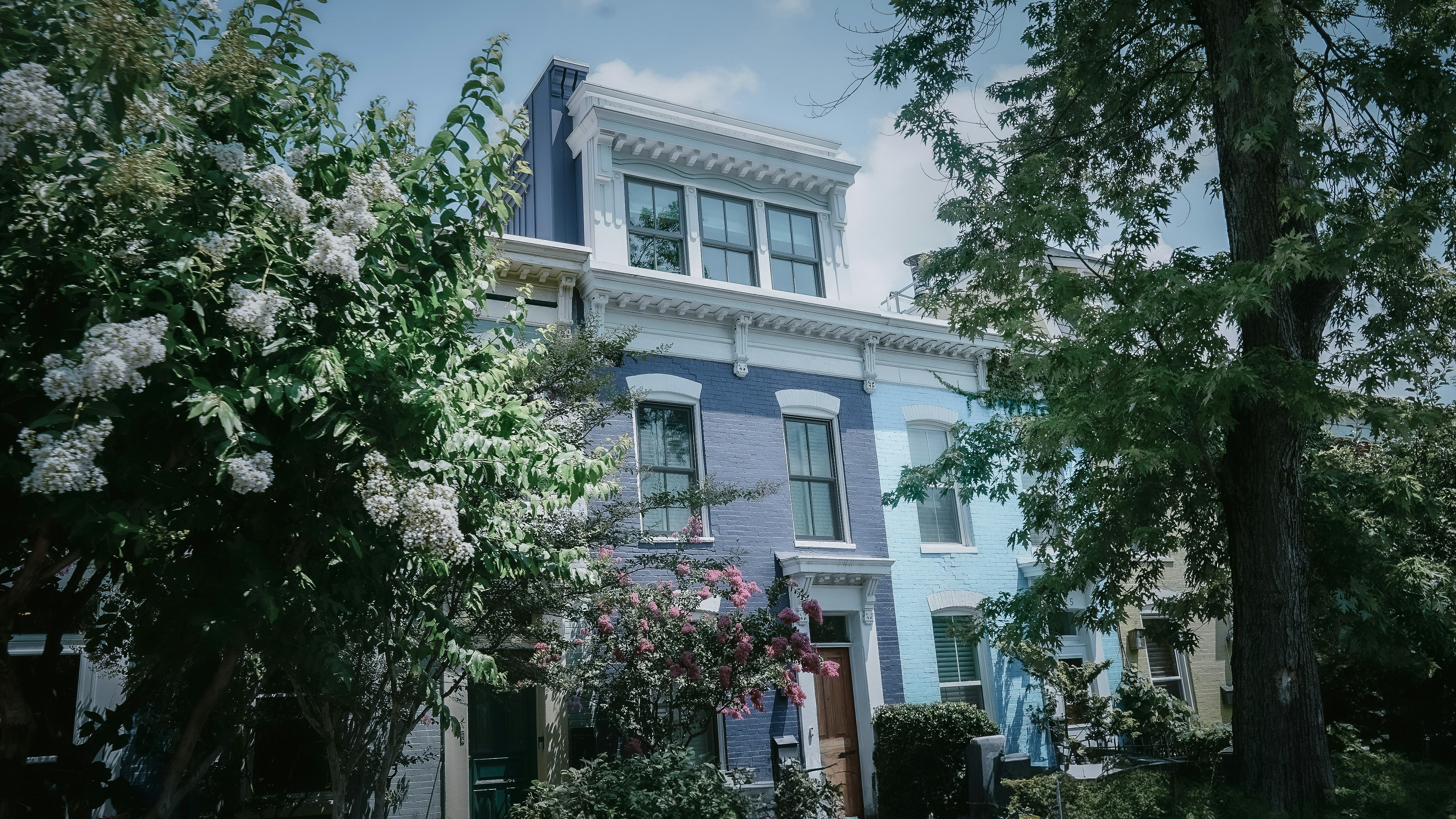 A colorful rowhouse stands framed by greenery.