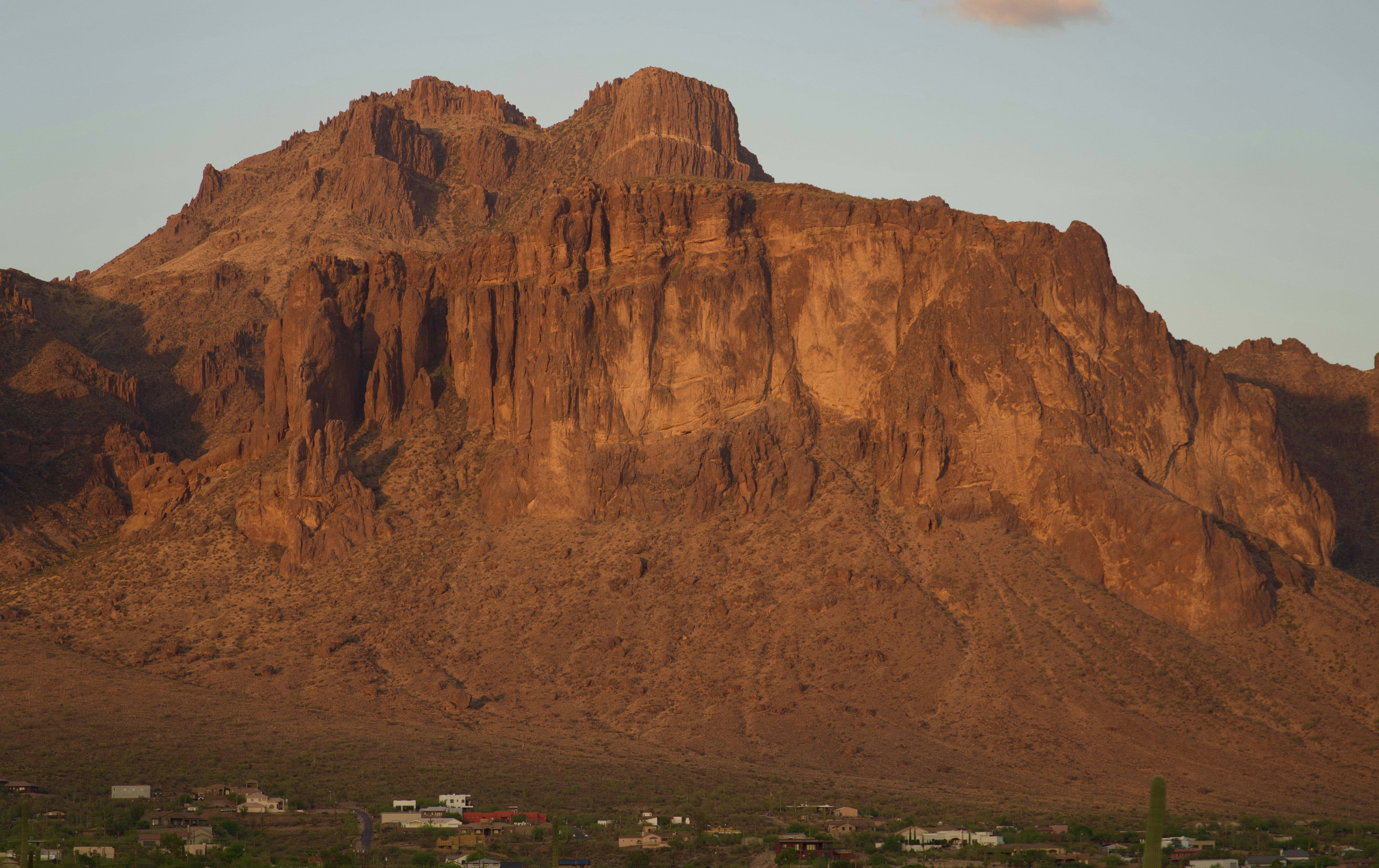 The Majestic Sentinel of the Desert