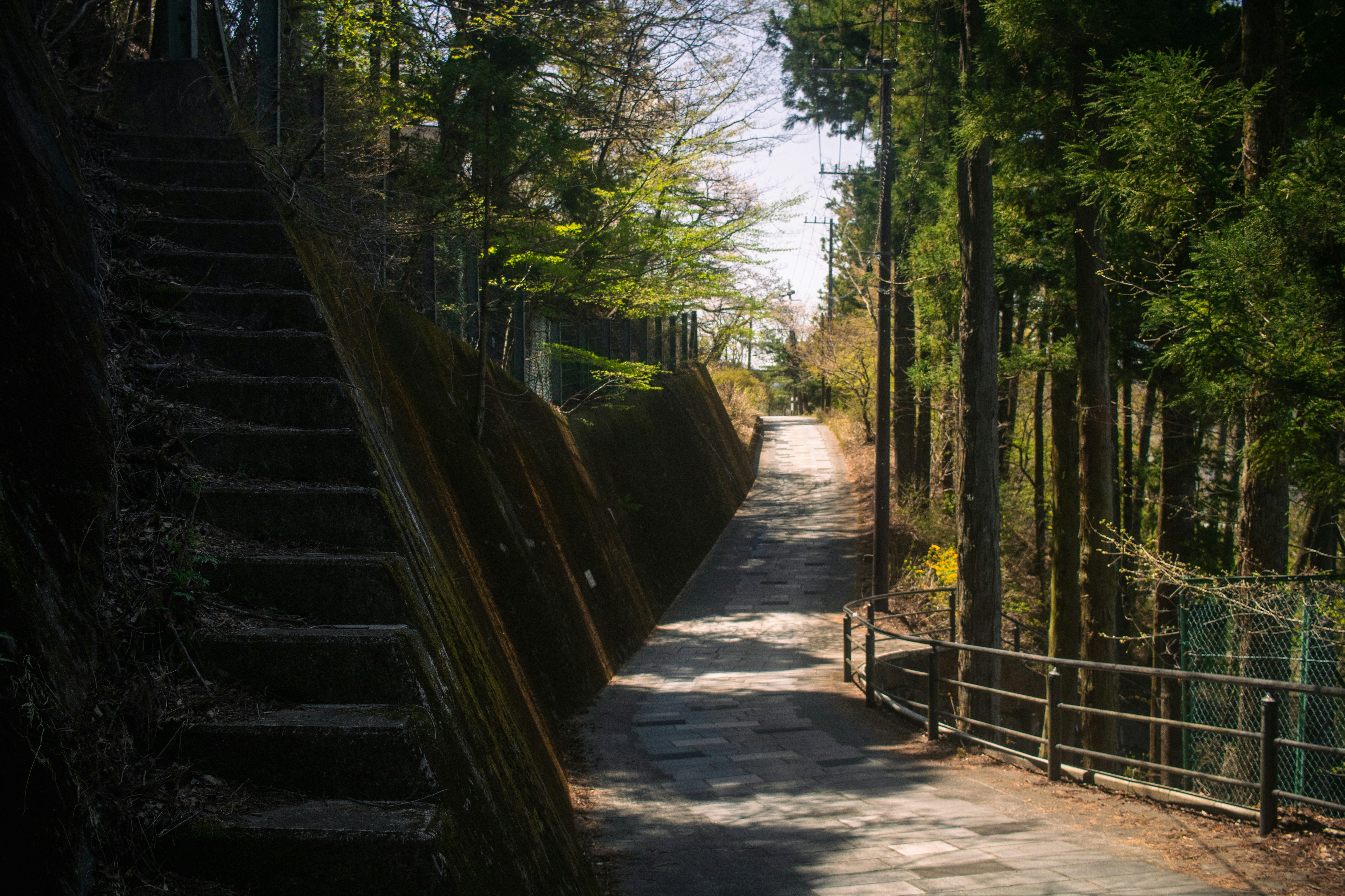 A pathway between stone walls and trees.