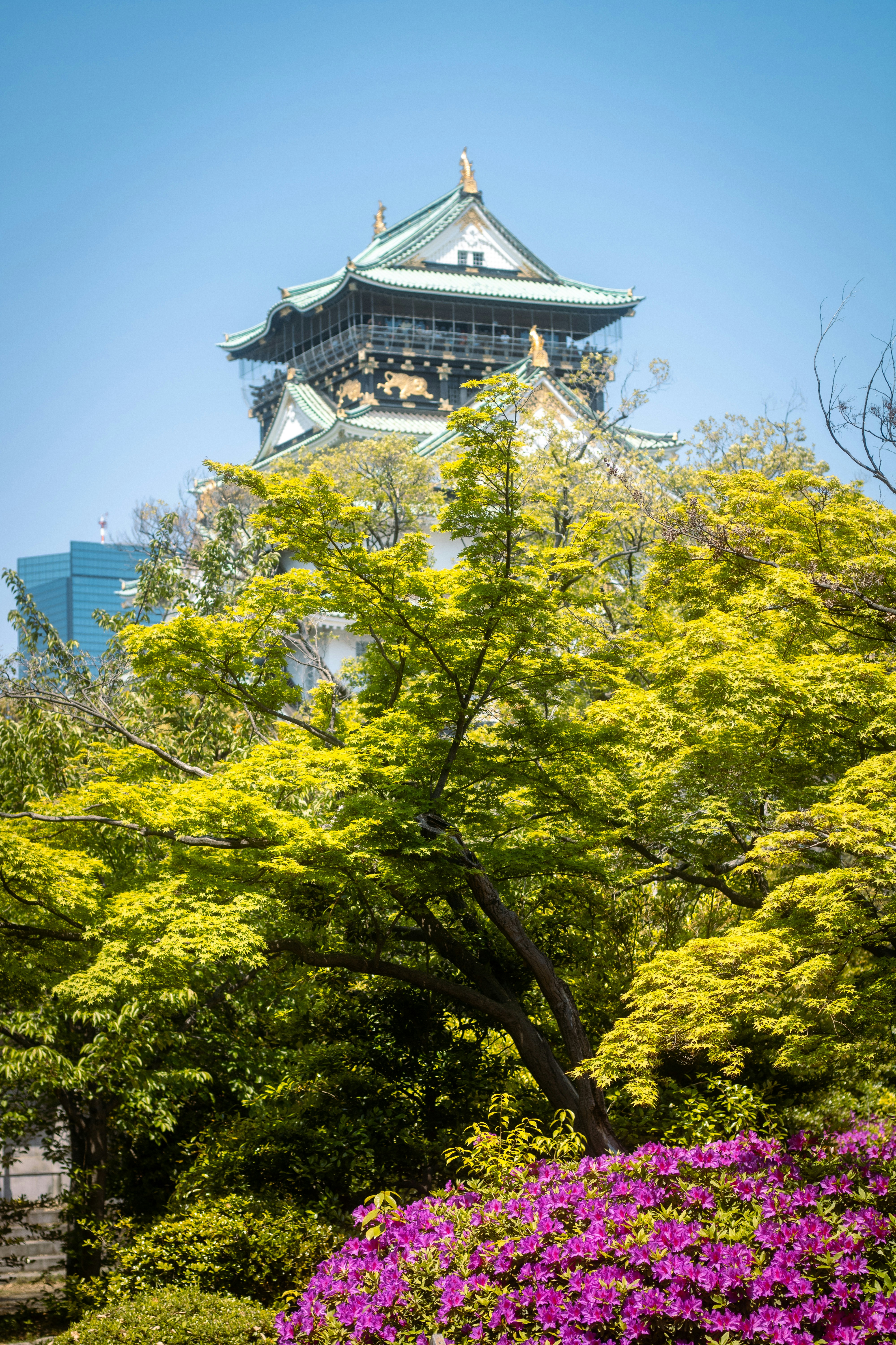Emerald-roofed Castle Tower Rising Through Spring Foliage