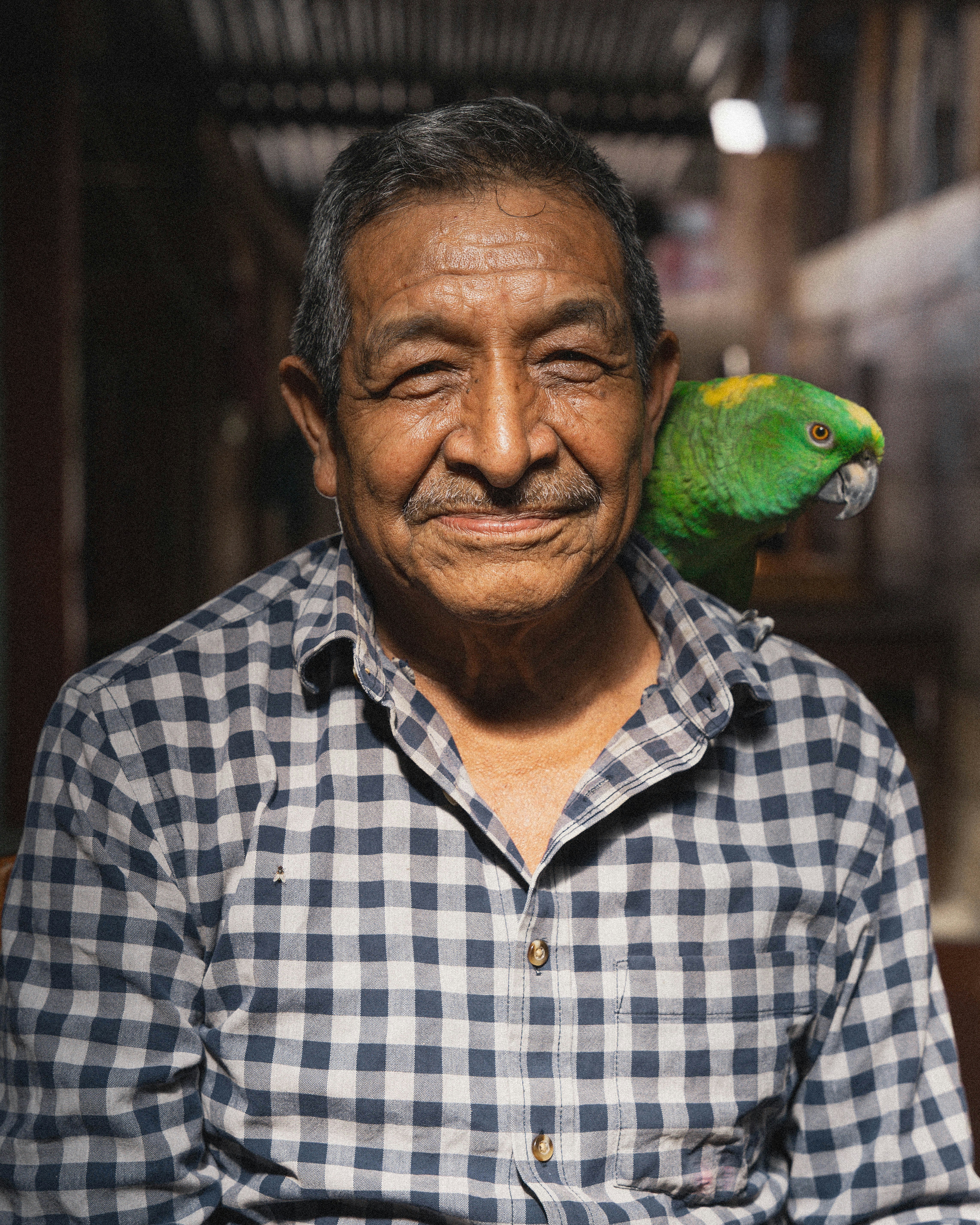 Elderly man with a warm smile sits against a softly lit background, accompanied by a vibrant green parrot perched on his shoulder.