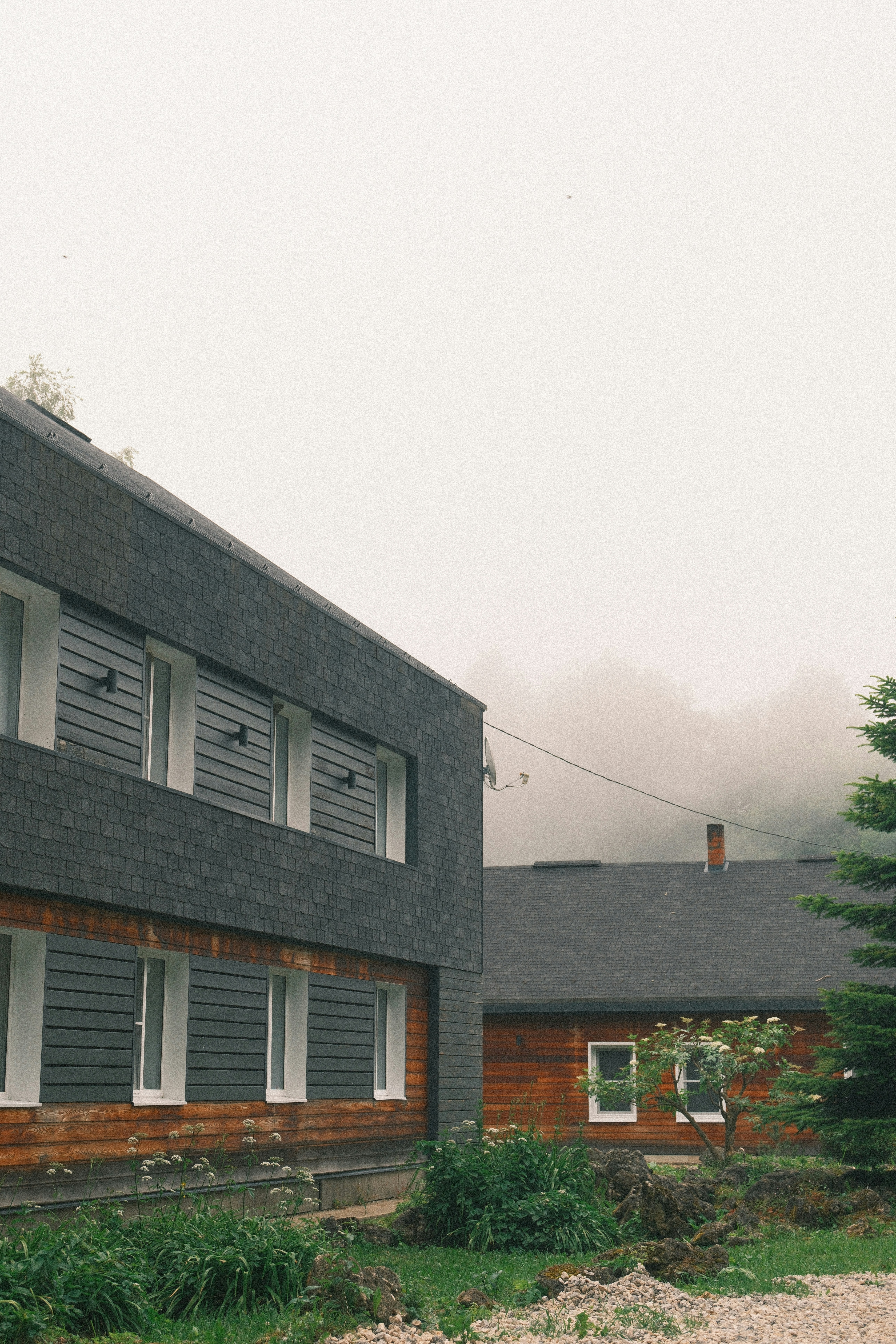 Whispers of Fog: A Serene Architectural Encounter