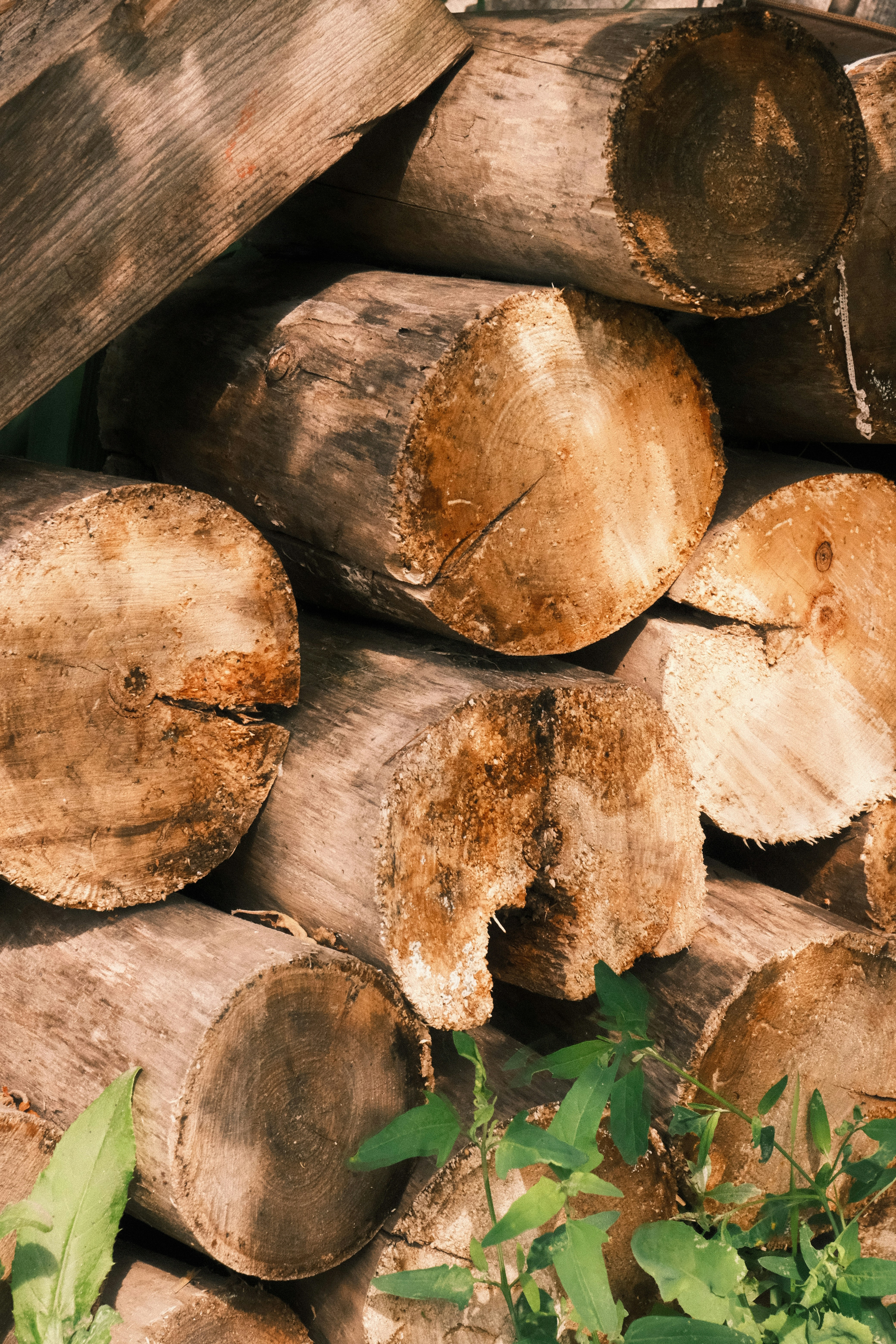 Logs are stacked on top of one another.