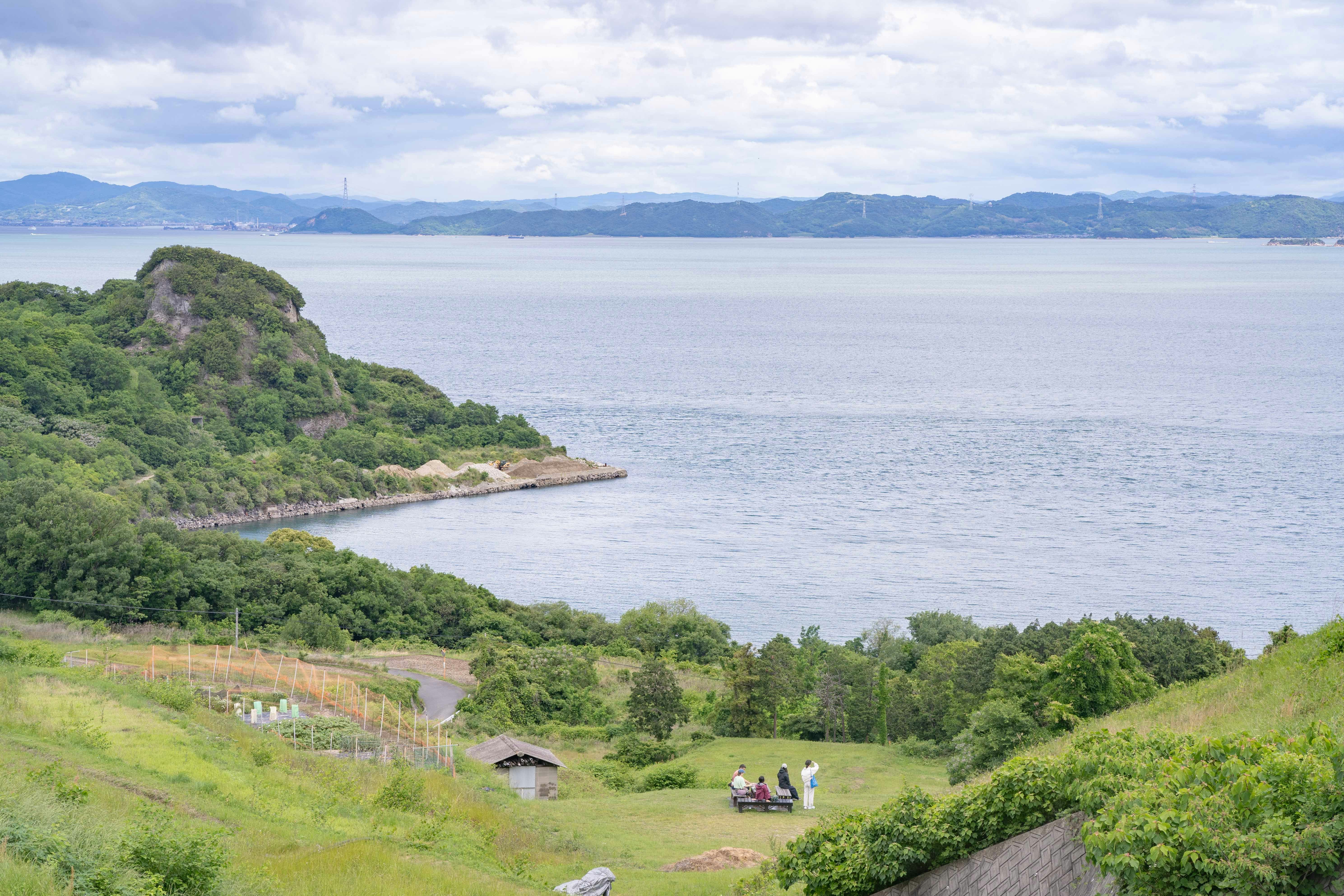 Serenity by the Shoreline: A Coastal Gathering