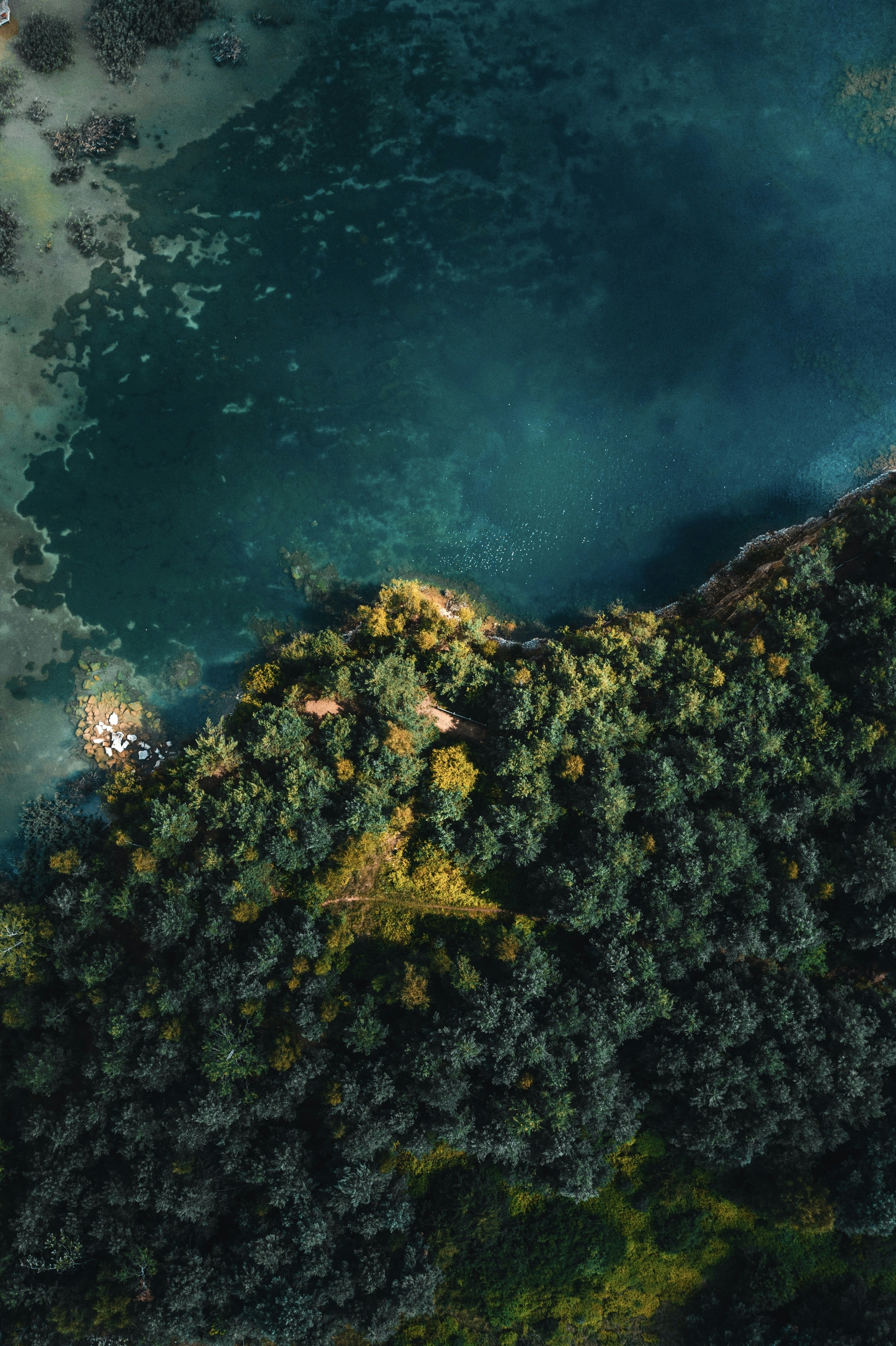 Aerial view of a forest beside a teal lake.