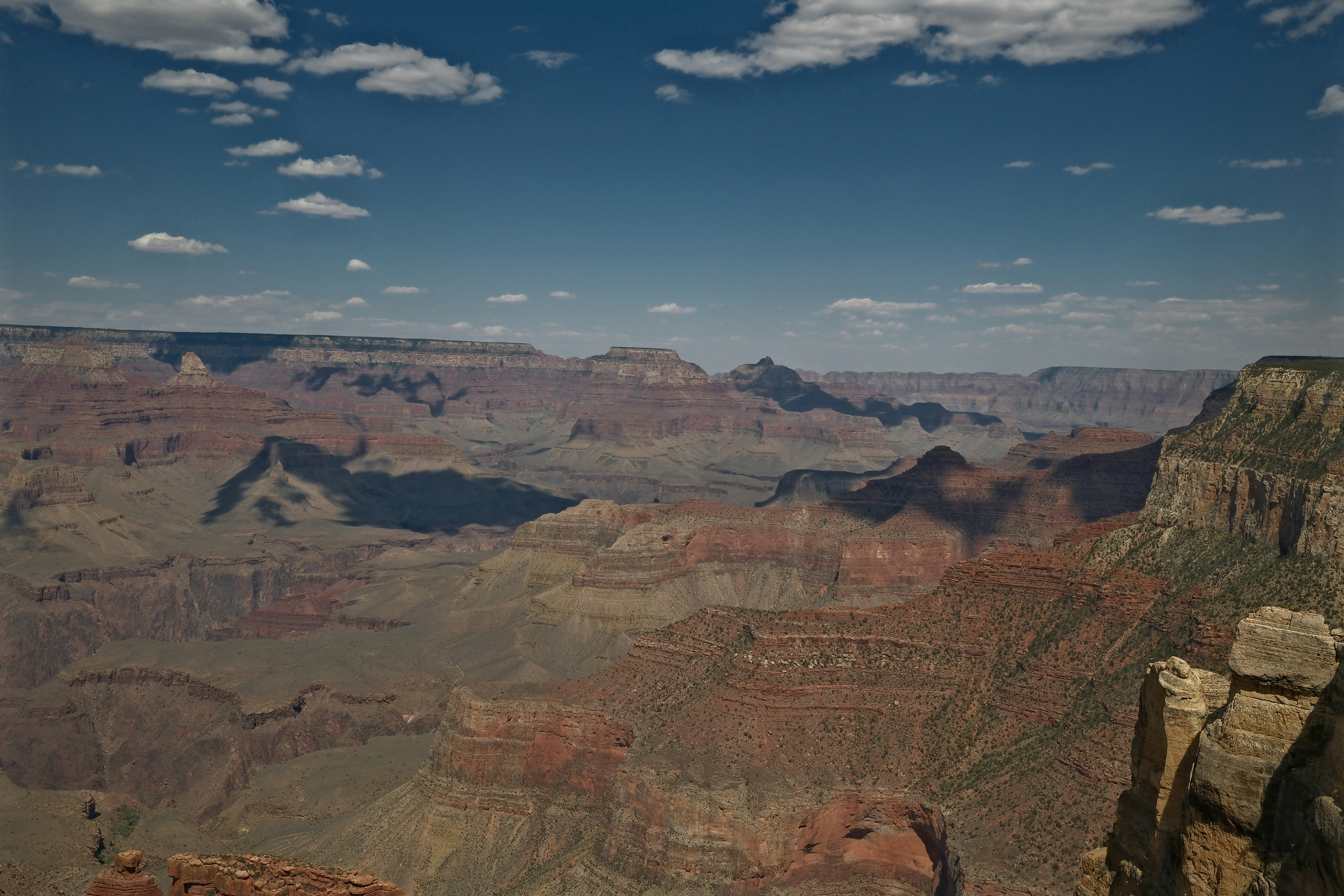 Echoes of the Canyon: The Grand Geometry of Light and Rock