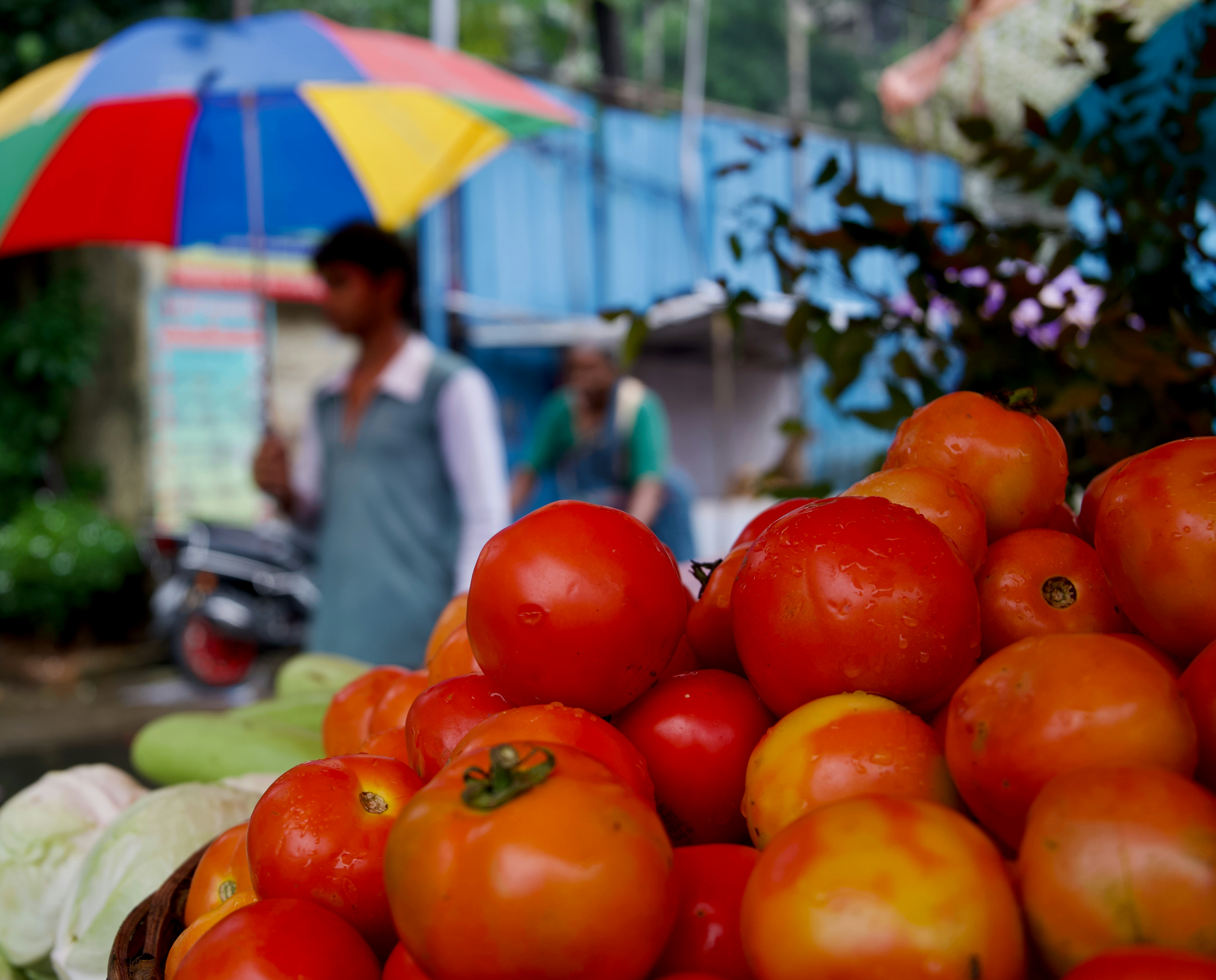Vibrant Market Harmony: A Tomato's Tale