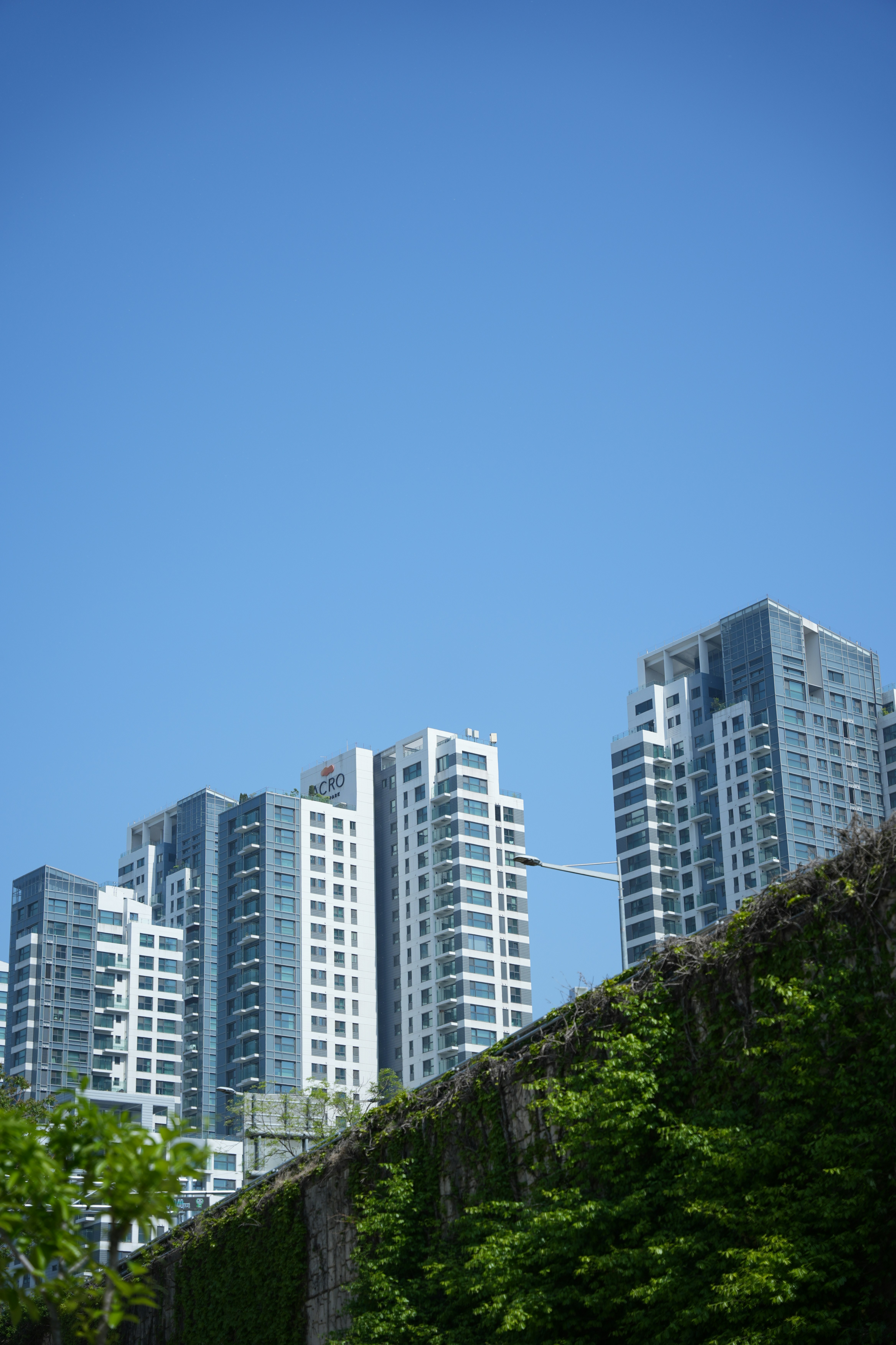Skyscrapers rise above a green, sunny wall.