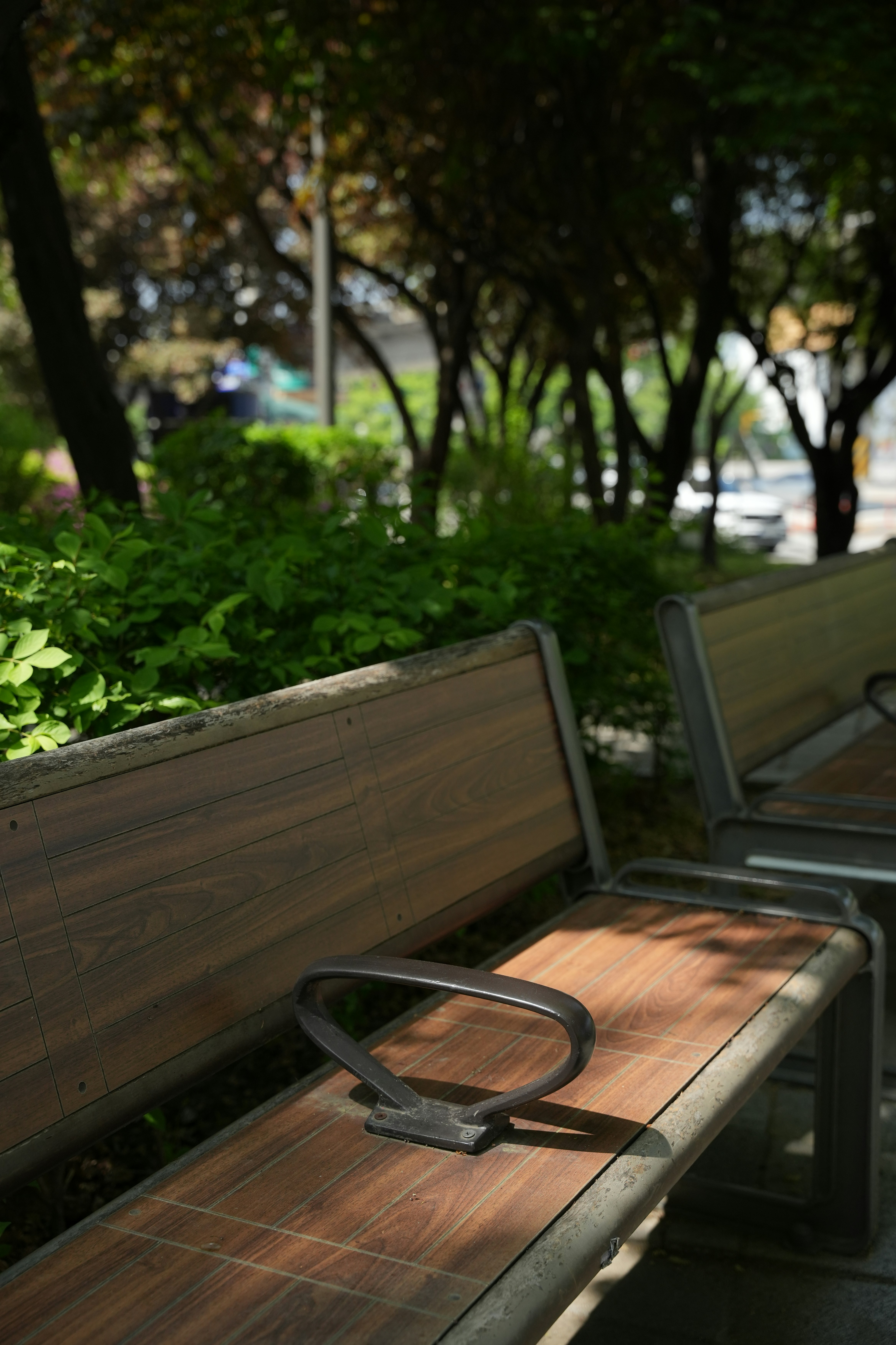 A Moment of Stillness in Urban Greenery