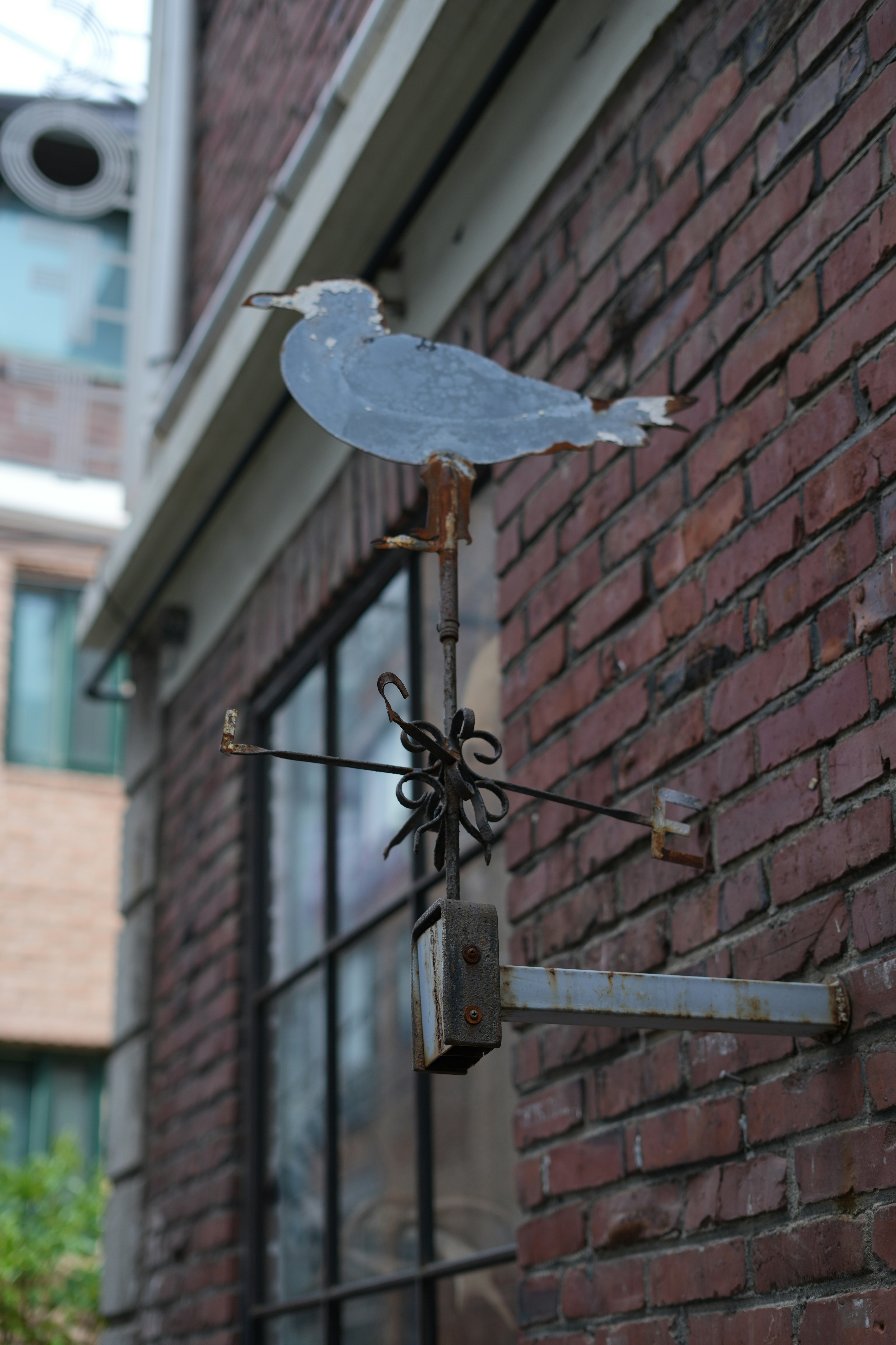 Whimsical Weather Vane: A Dance with the Wind