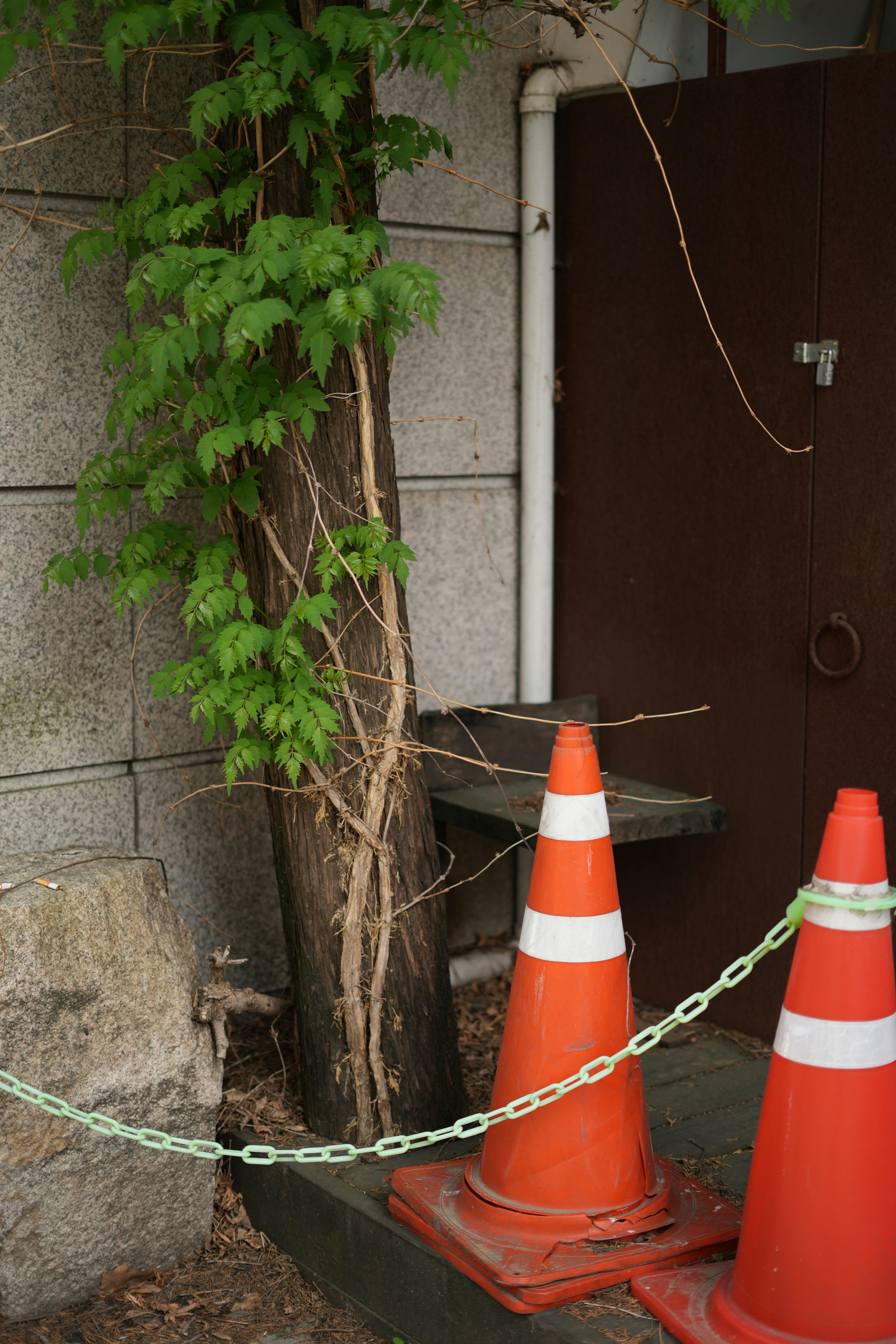 Urban Resilience: Nature Meets Infrastructure