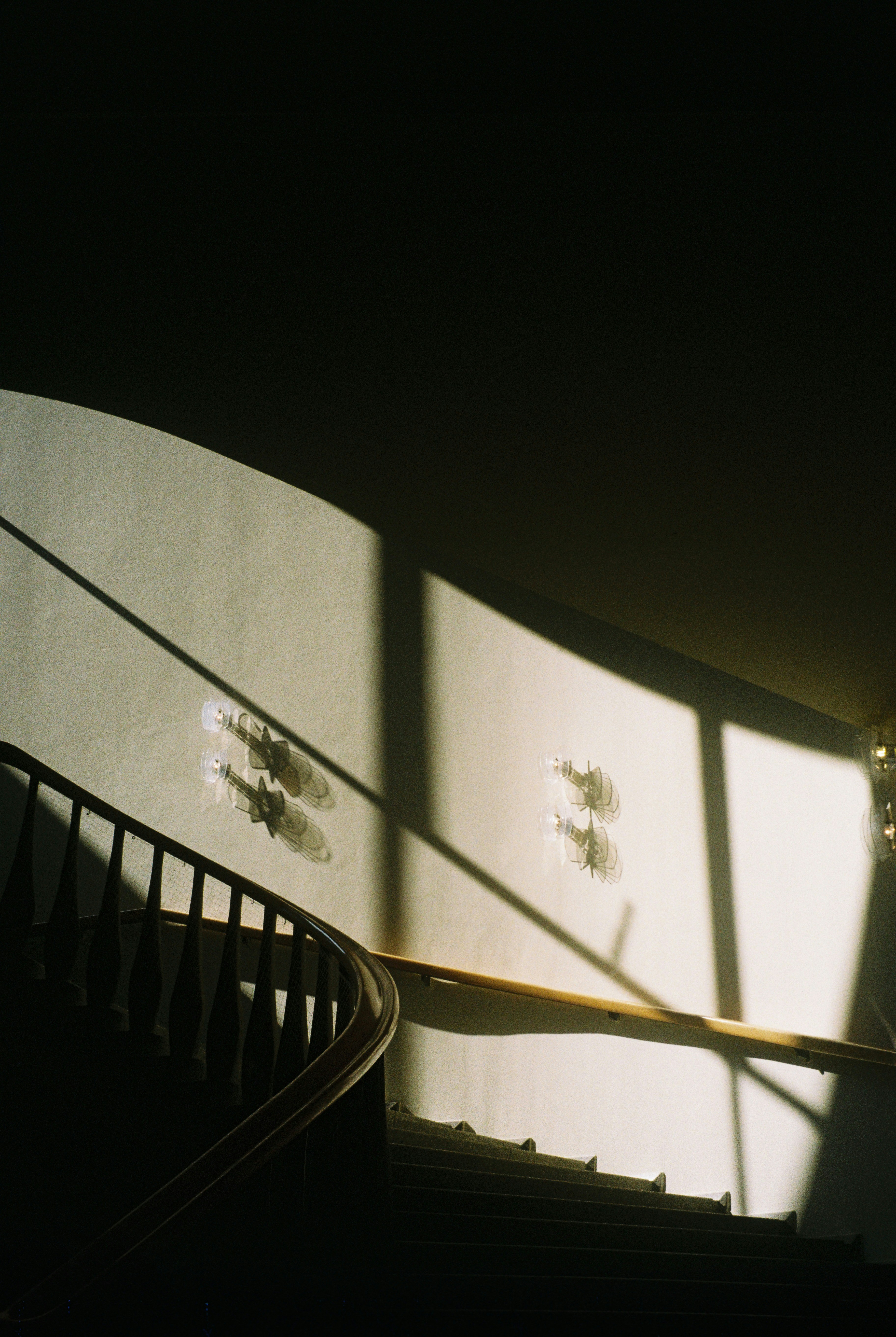 Shot on Kodak Gold 200 | Light and shadow illuminate a curved staircase.